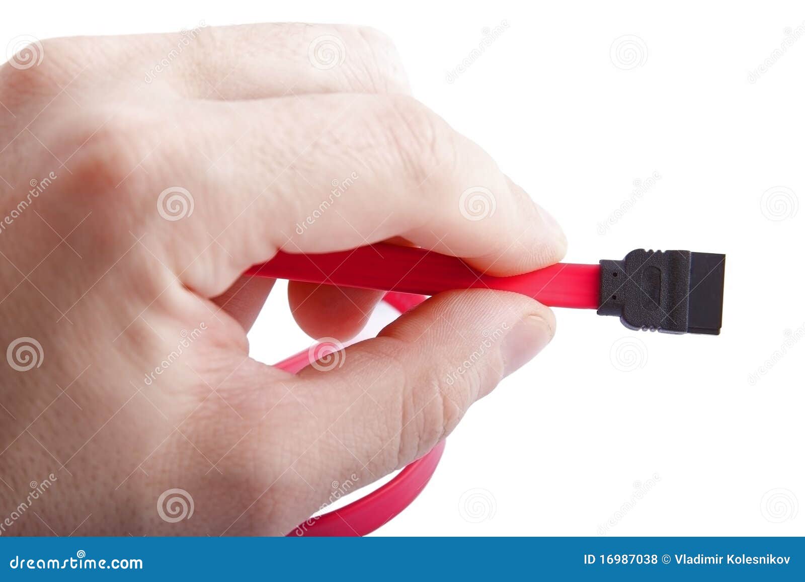 Sata Cable Royalty-Free Stock Photo | CartoonDealer.com #15000531