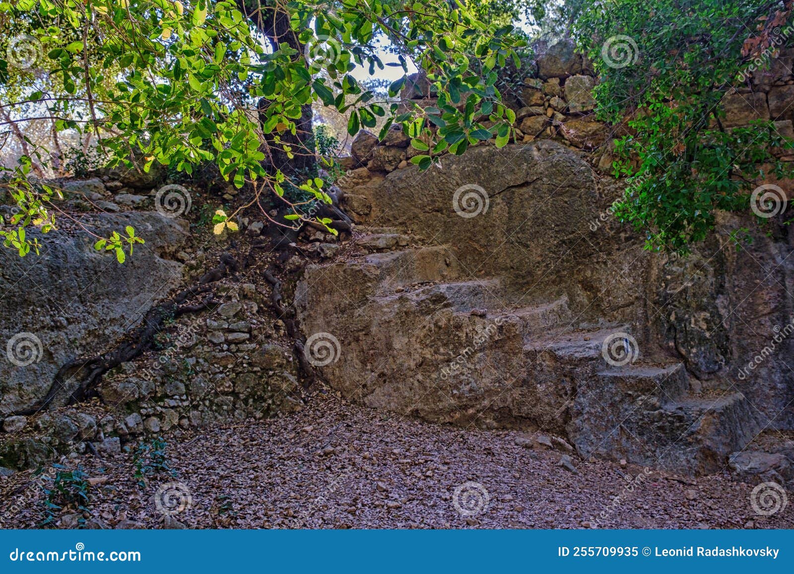 Sataf National Park in the Jerusalem Hills, Israel Stock Image - Image ...