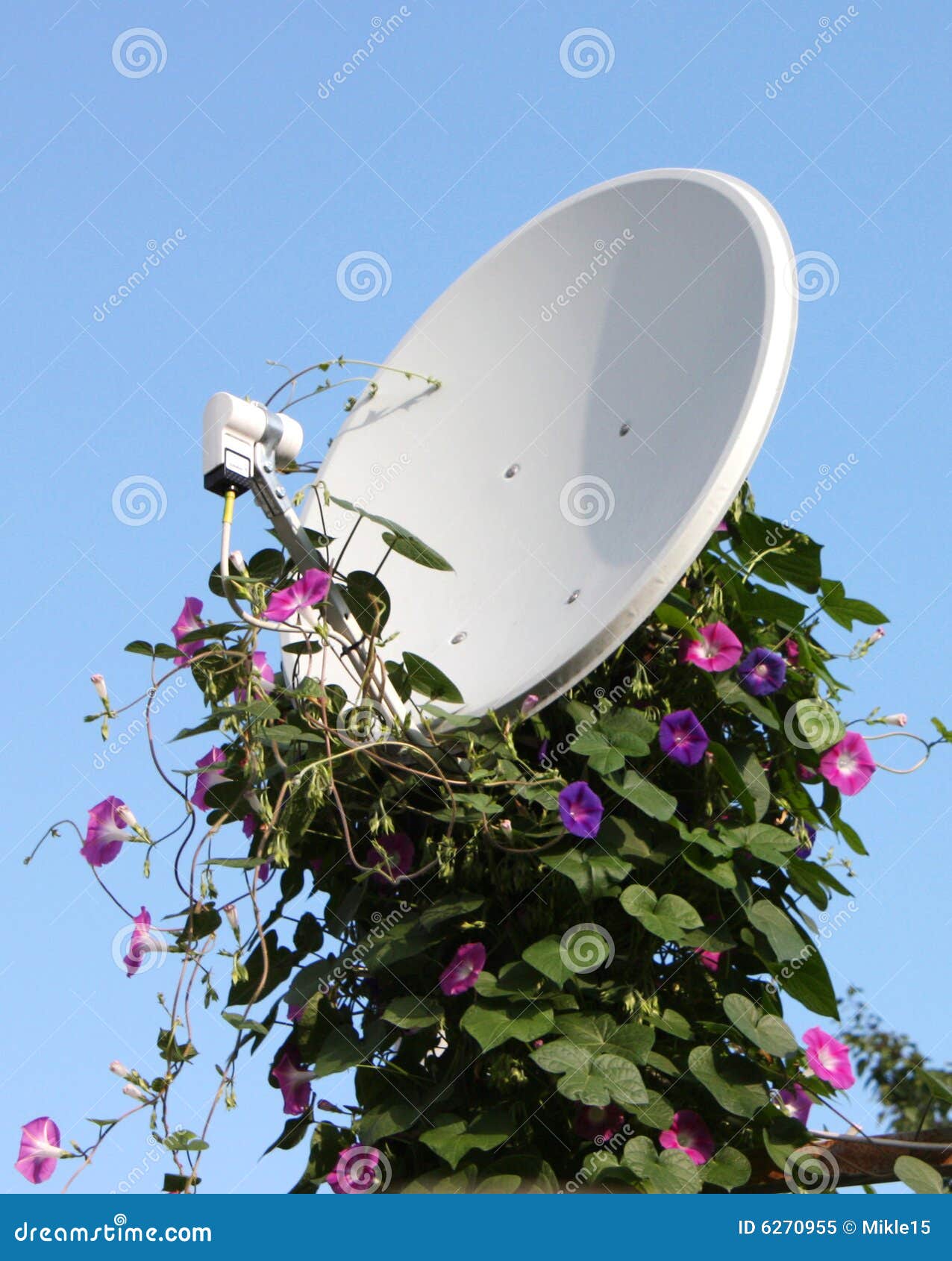 Satellite Antenna with Flowers Stock Image - Image of dish, program ...
