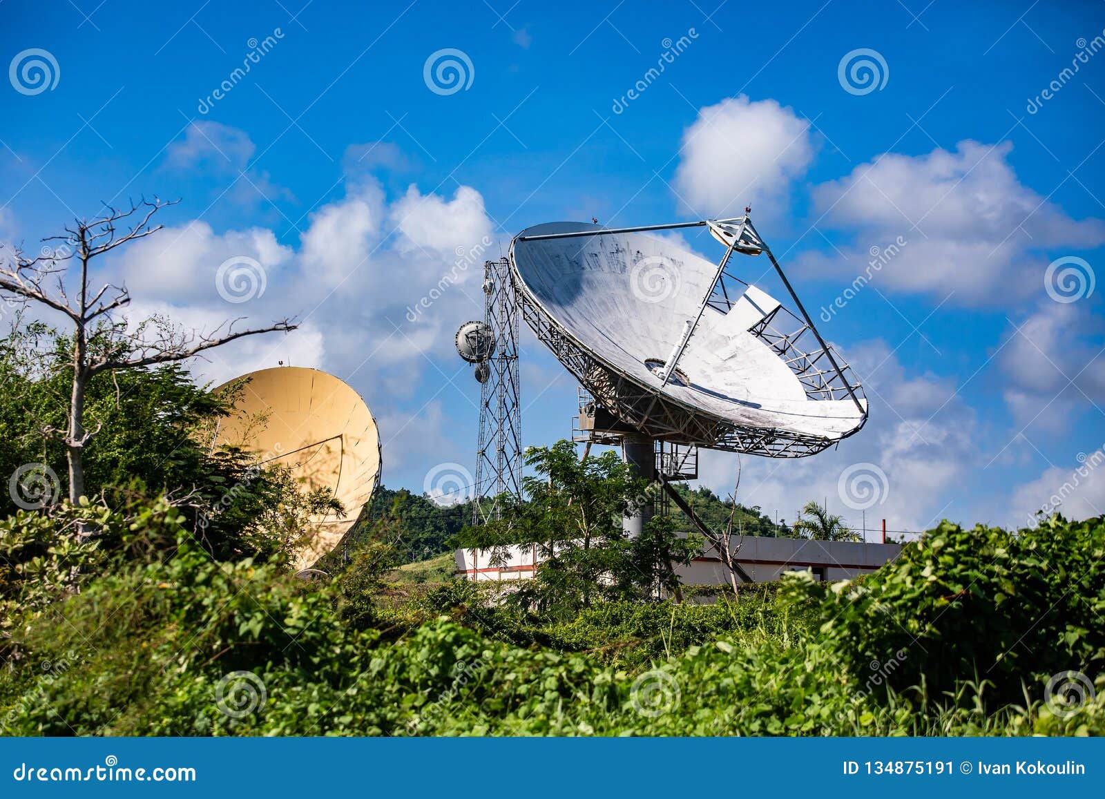 Satellite Dish in the Forest with Sighns of Rust Stock Image - Image of ...