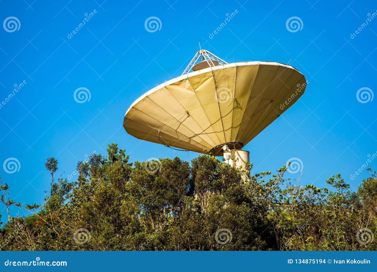 Satellite Dish in the Forest with Sighns of Rust Stock Photo - Image of ...