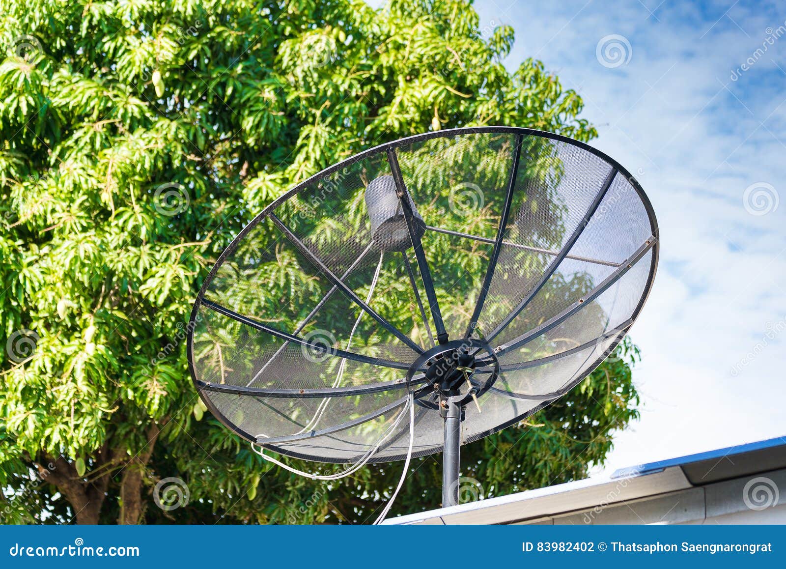 Satellite Dish on the Roof with Blue Sky and Tree. Stock Photo - Image ...