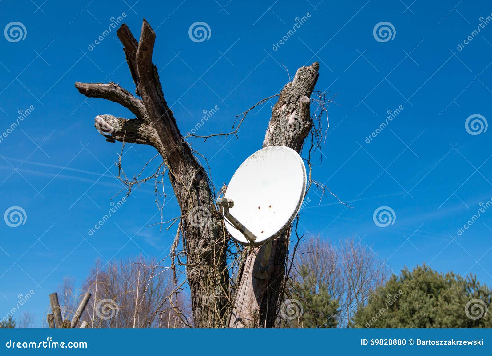 Satellite Dish stock photo. Image of cable, digital, media - 69828880