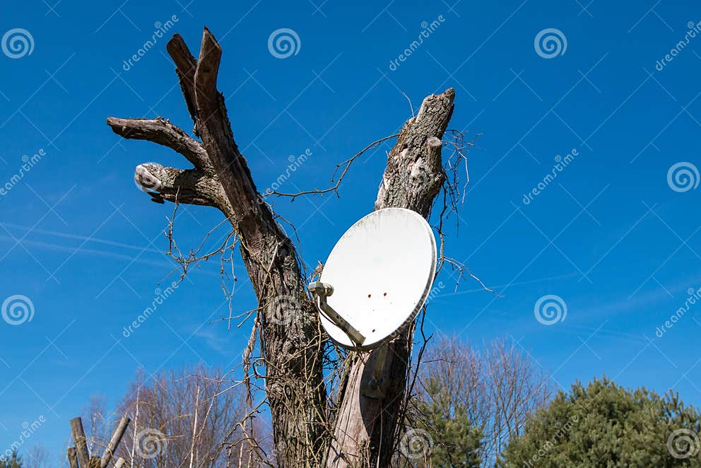 Satellite Dish stock photo. Image of cable, digital, media - 69828880