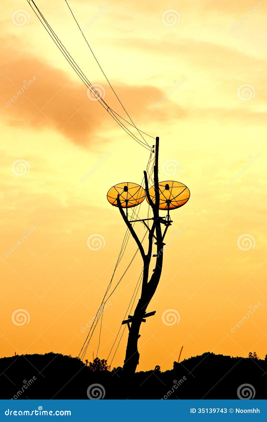 Satellite dish on tree stock image. Image of communicate - 35139743