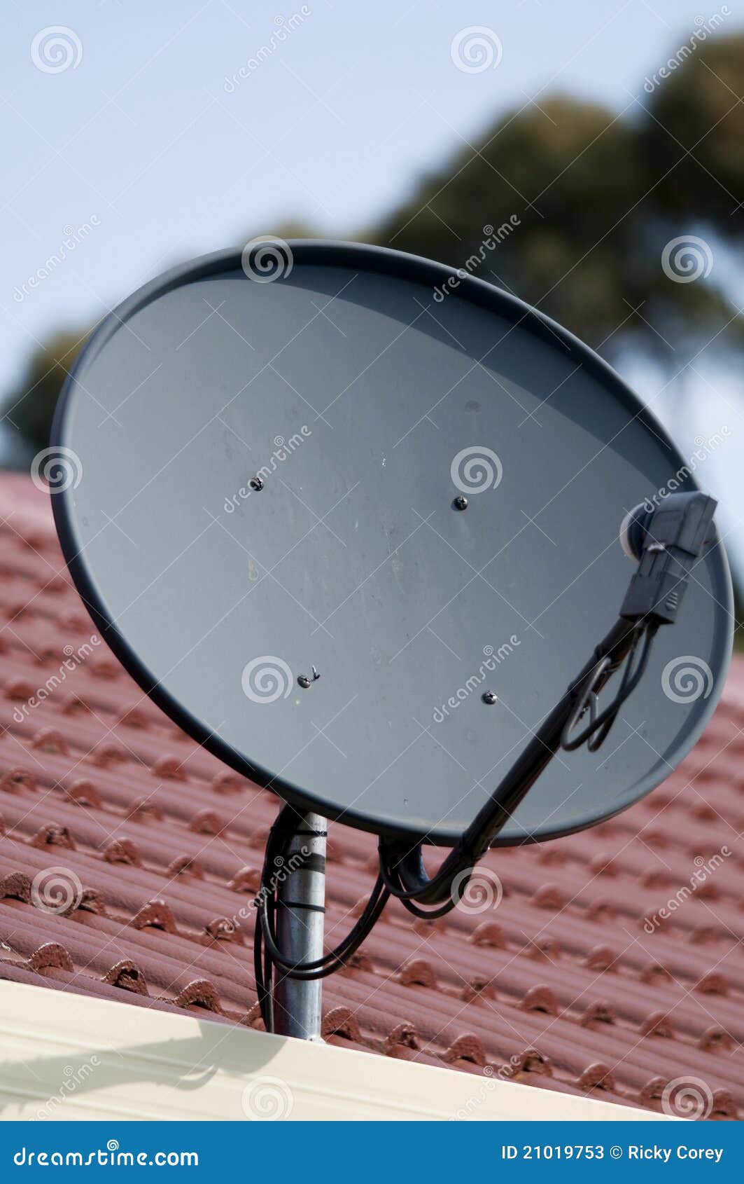 Satellite Tv Reception stock image. Image of residential - 21019753