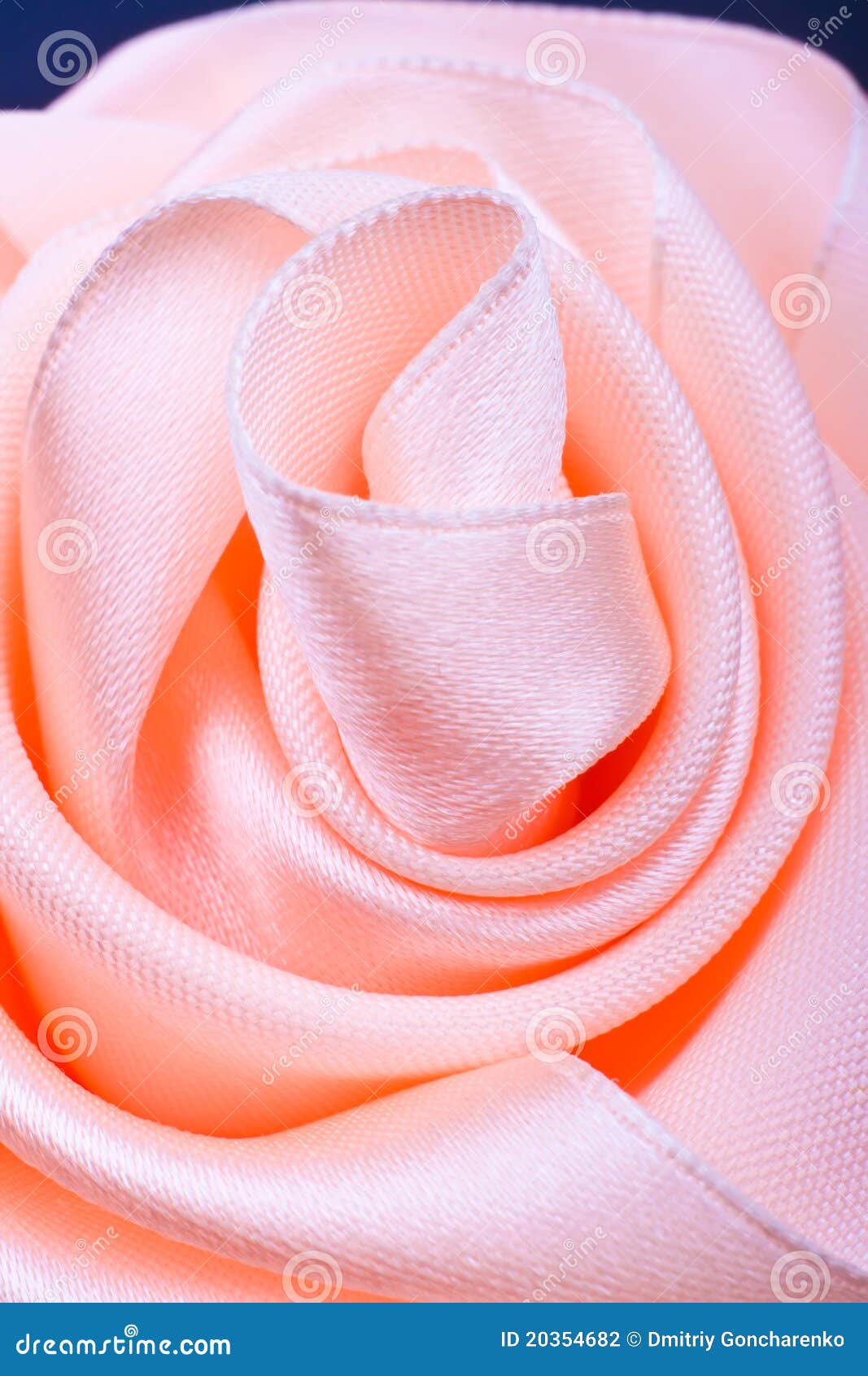 Satin peach-colored rose stock photo. Image of detailed - 20354682