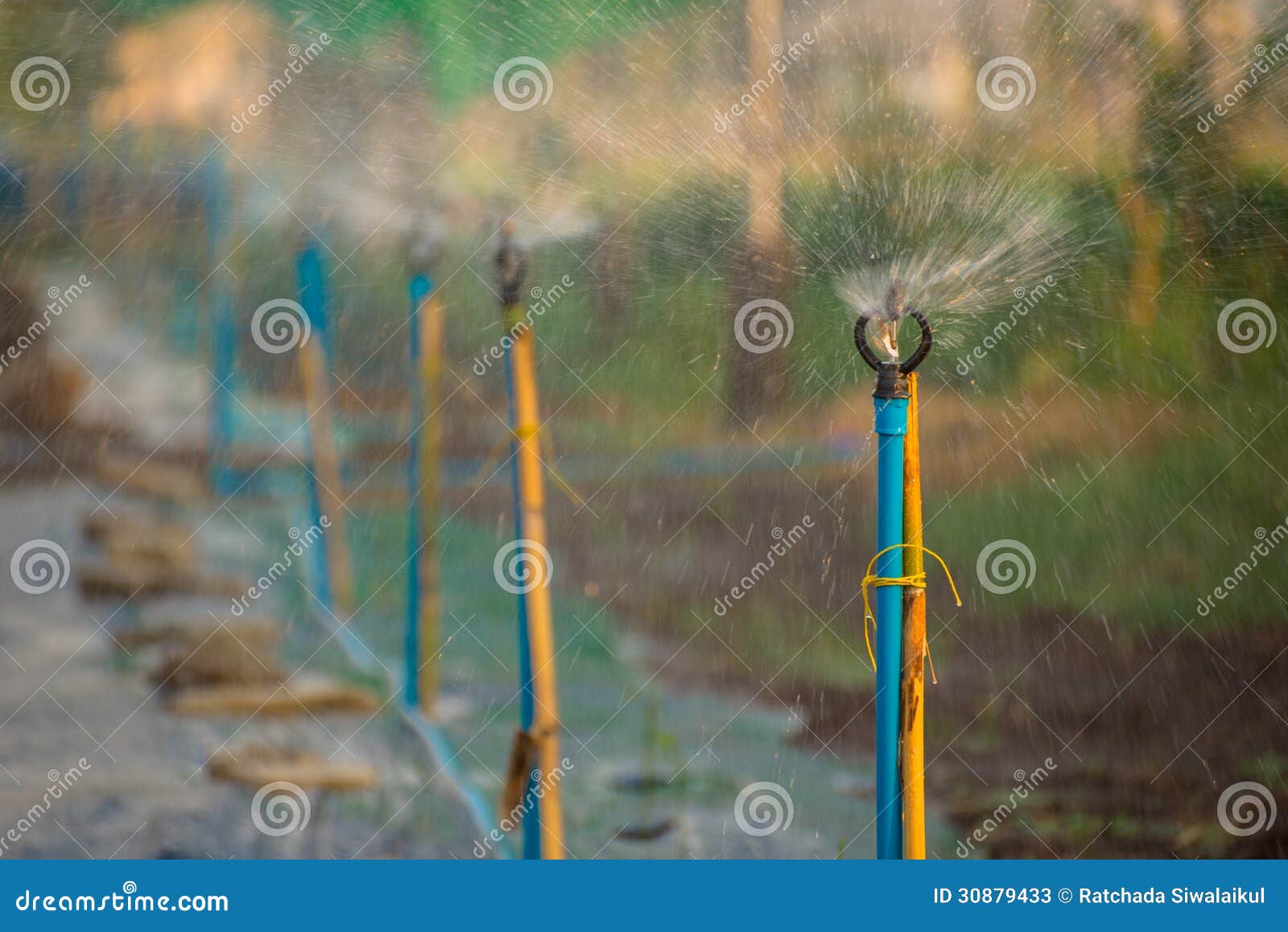 Satisfaga imagen de archivo. Imagen de aumento, resorte - 30879433