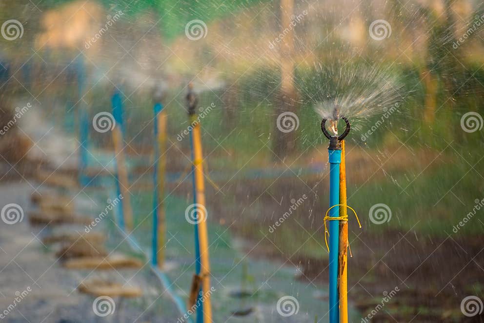 Satisfaga imagen de archivo. Imagen de aumento, resorte - 30879433