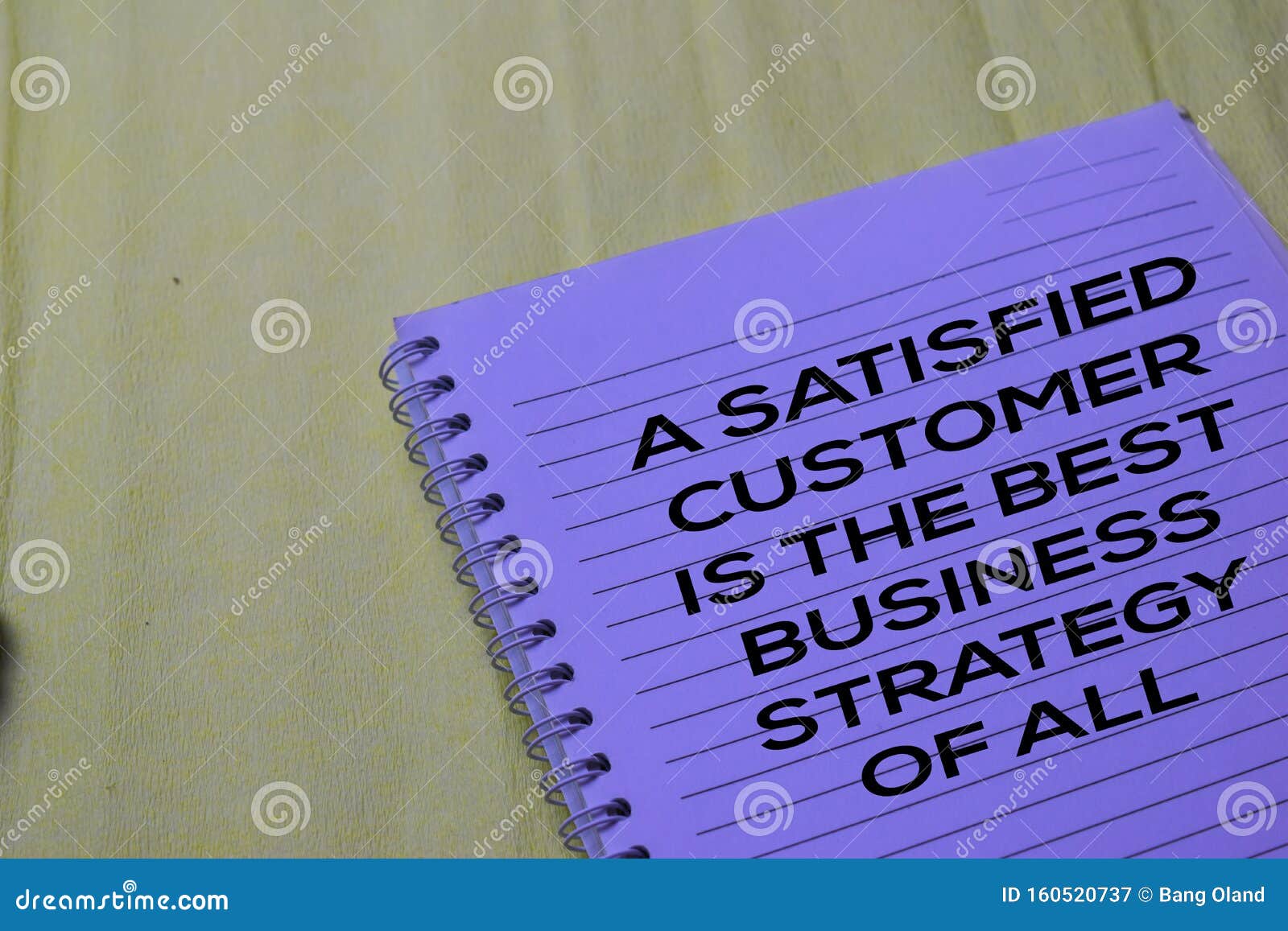 A Satisfied Customer is the Best Business Strategy of All Text on a ...