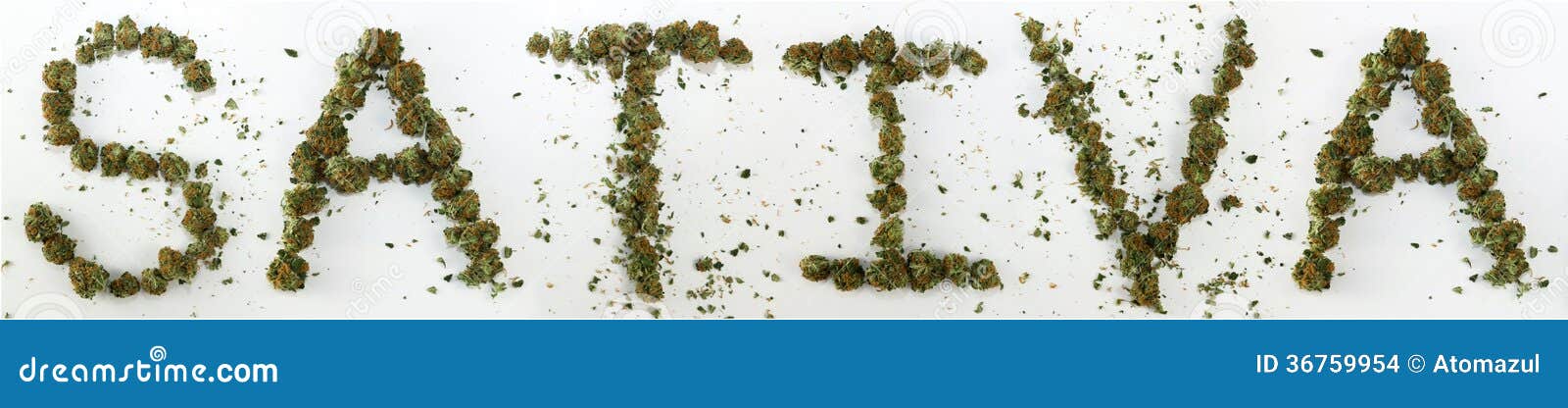 Sativa Spelled with Marijuana Stock Photo - Image of strain, clinic ...