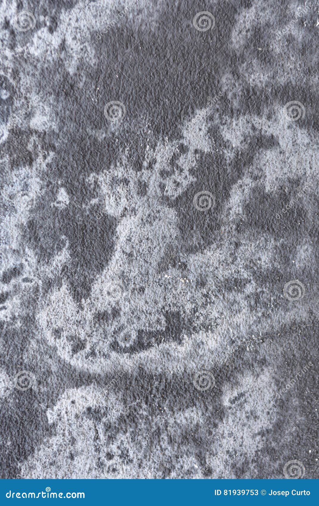 Satlpeter, stock image. Image of wall, gray, close, saltpeter - 81939753