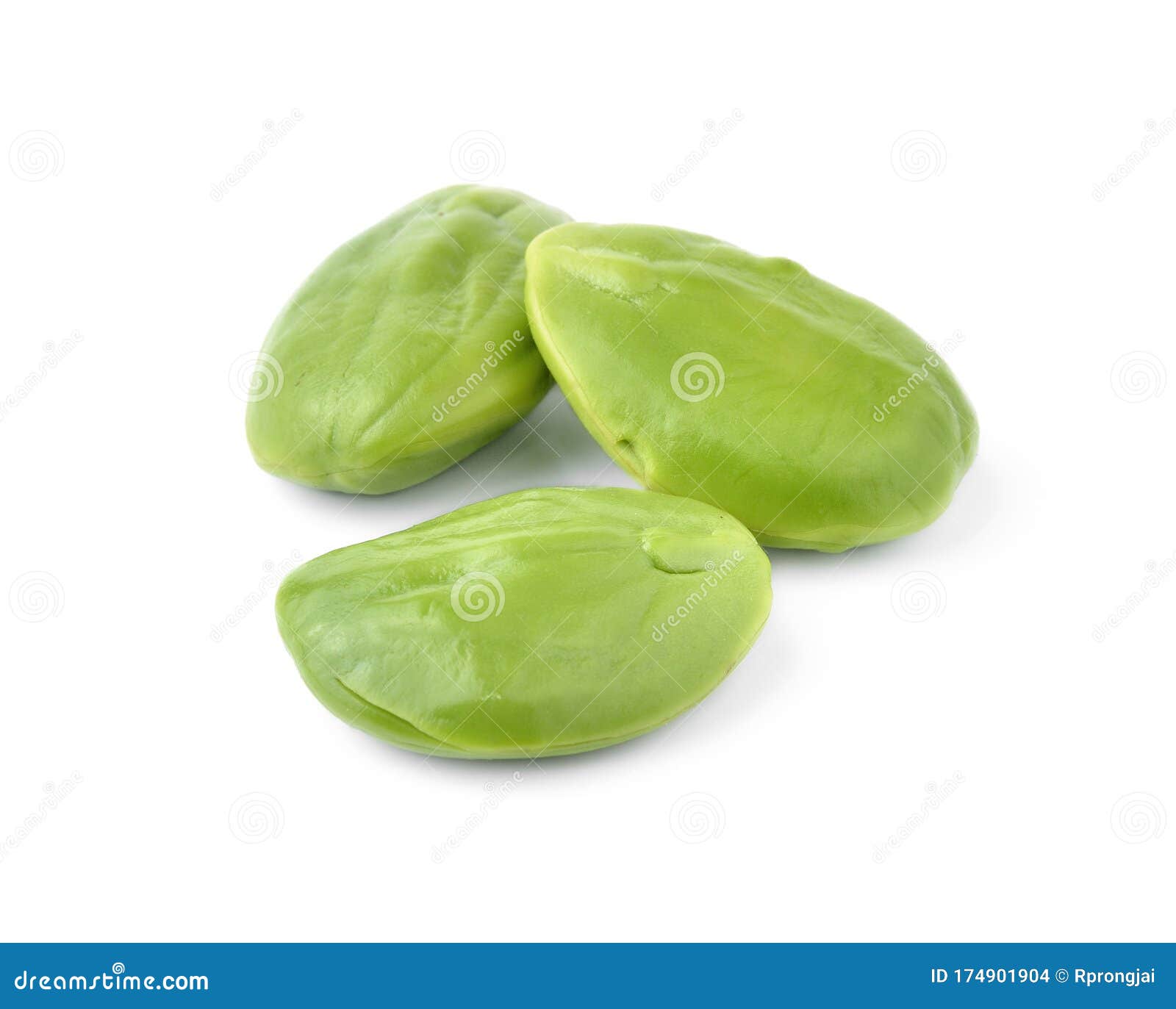 Sato Seeds, Parkia Speciosa Seeds Or Bitter Bean On The Tree. It Also ...