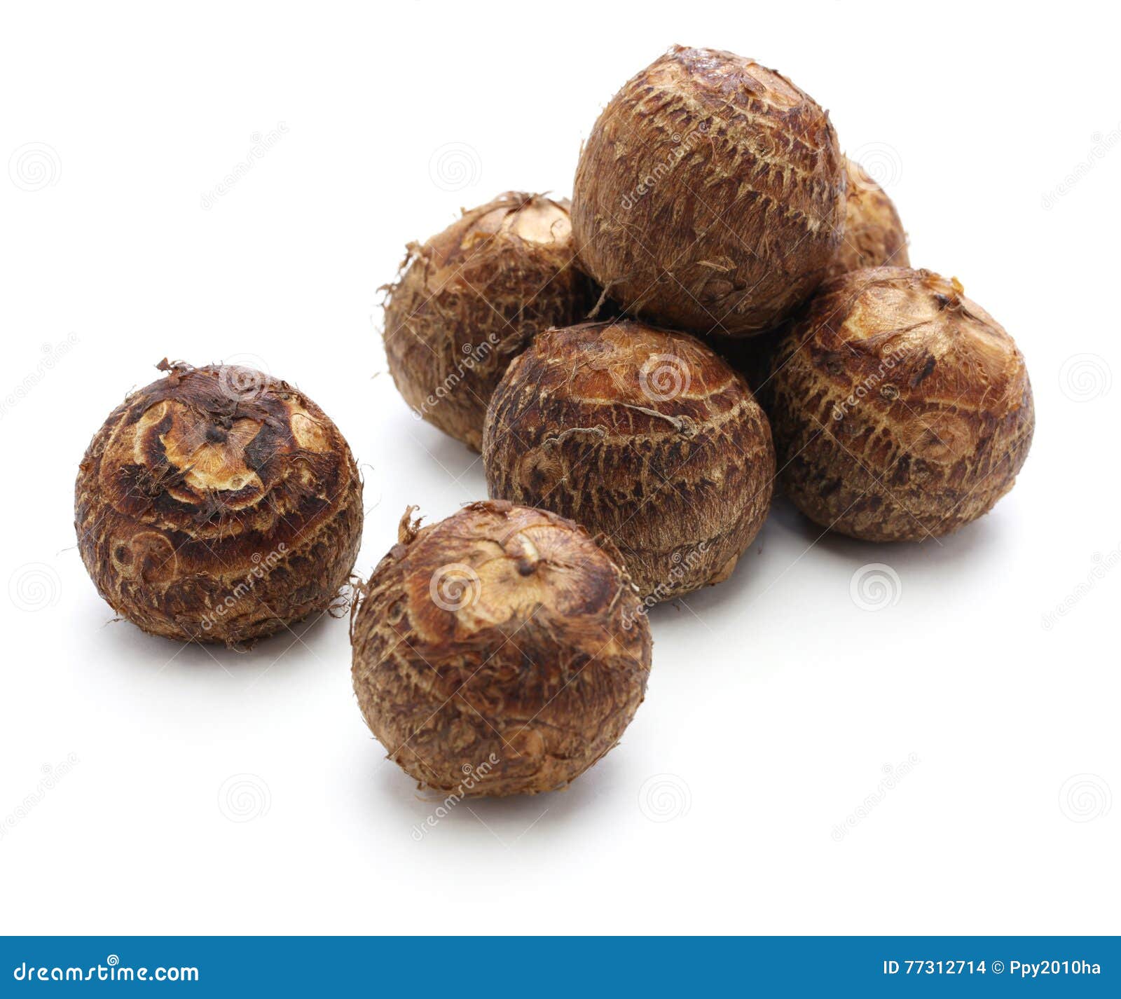 Satoimo, Small Japanese Taro Potatoes Stock Photo - Image of ishikawa ...