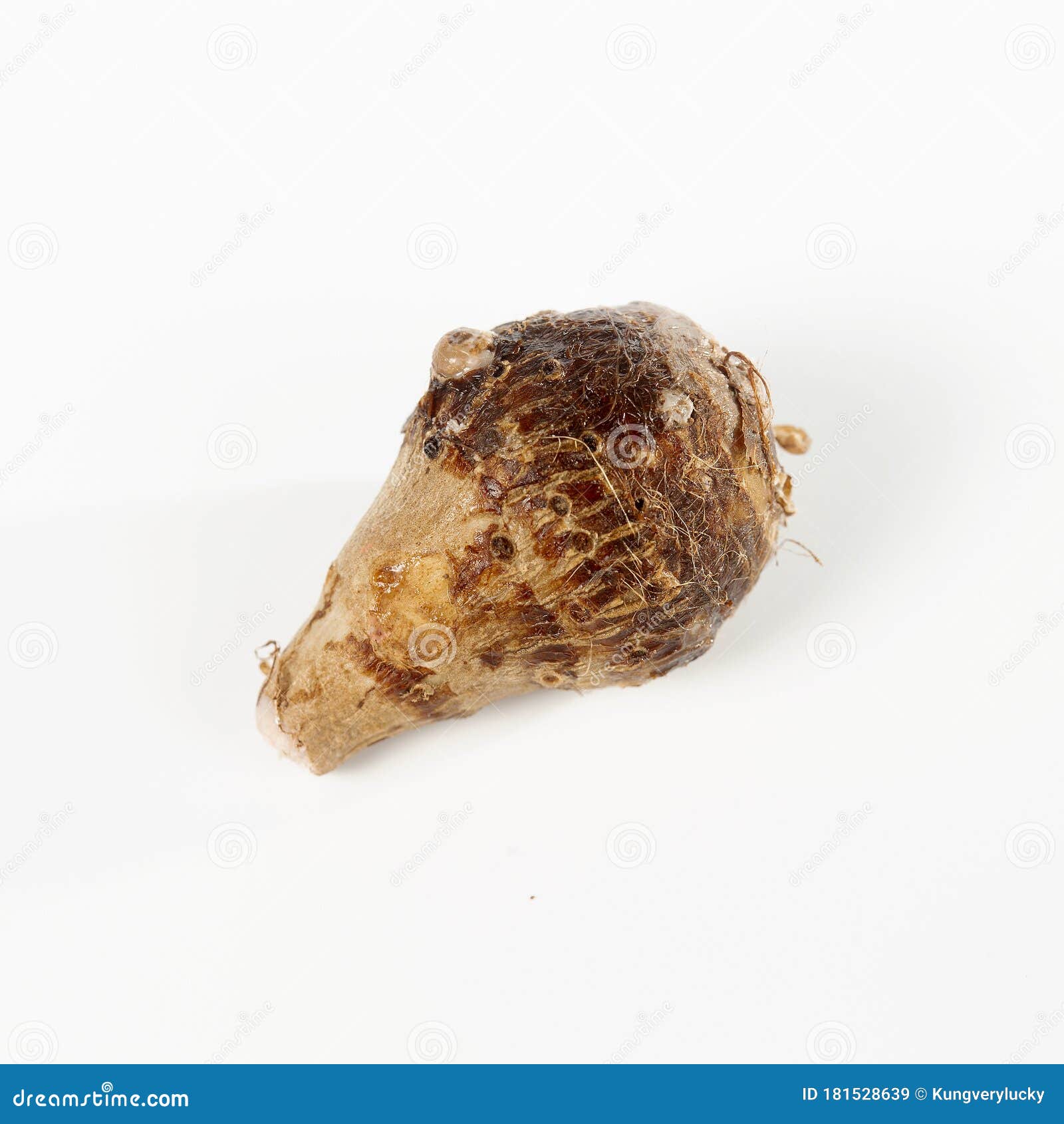 Satoimo, Sweet Taros Royalty-Free Stock Photography | CartoonDealer.com ...