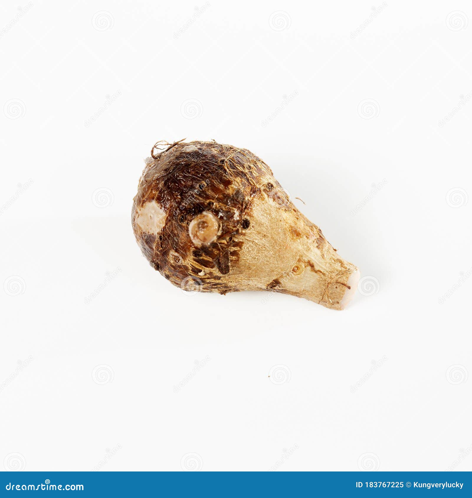 Satoimo, Sweet taros stock image. Image of piece, taro - 183767225