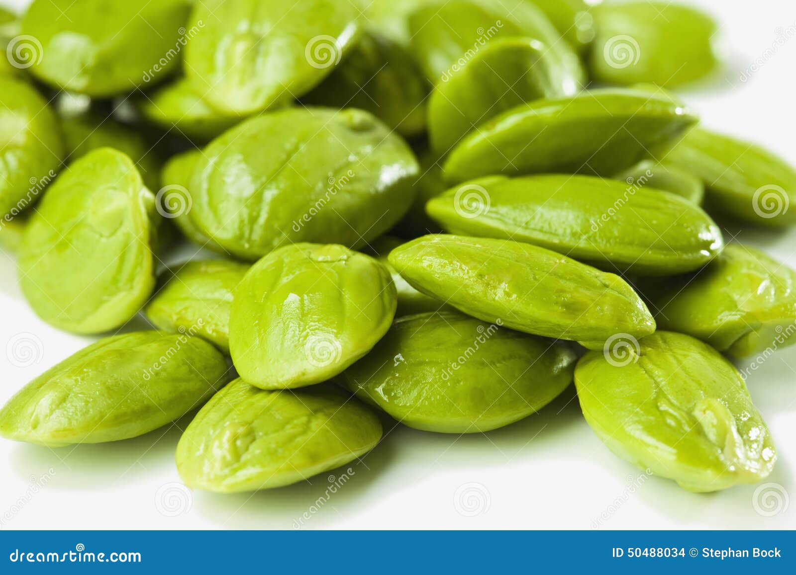 Sator Stock Photo | CartoonDealer.com #10365360