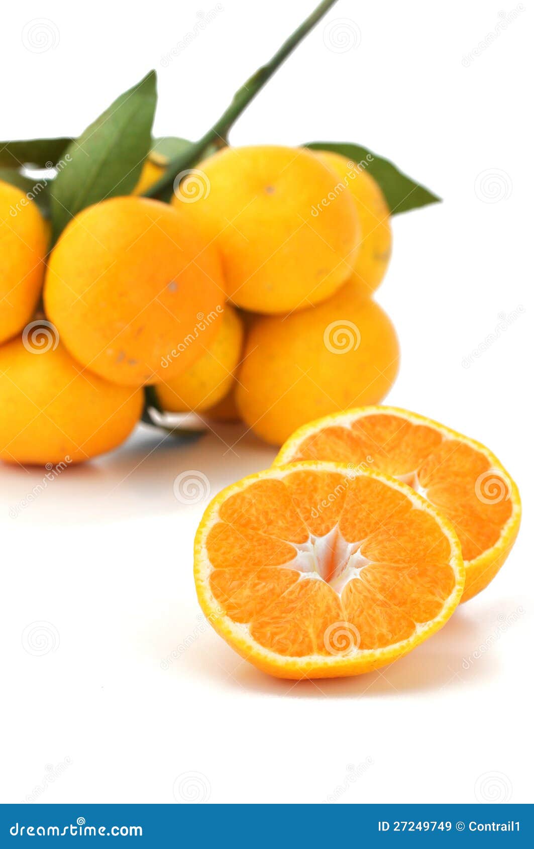 Satsuma imagem de stock. Imagem de galho, tropical, ainda - 27249749