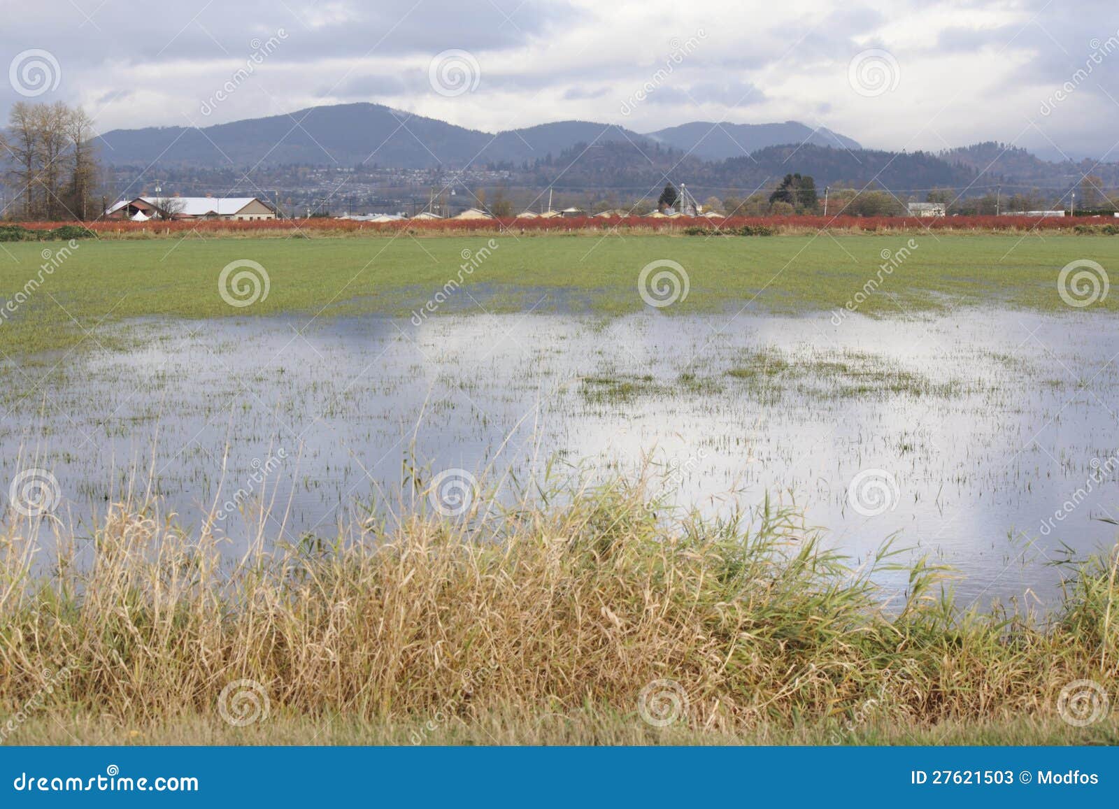 Saturated Farm Land stock image. Image of land, saturated - 27621503