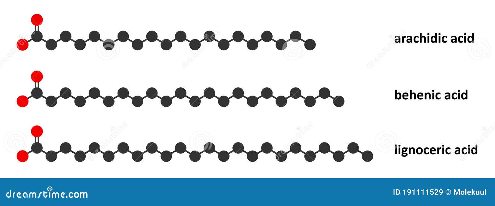Saturated Fatty Acids: Arachidic, Behenic and Lignoceric Acid. Long ...