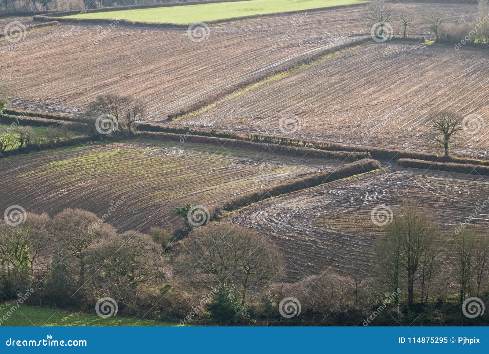 Saturated Fields on a UK Farm after Heavy Rains Stock Image - Image of ...