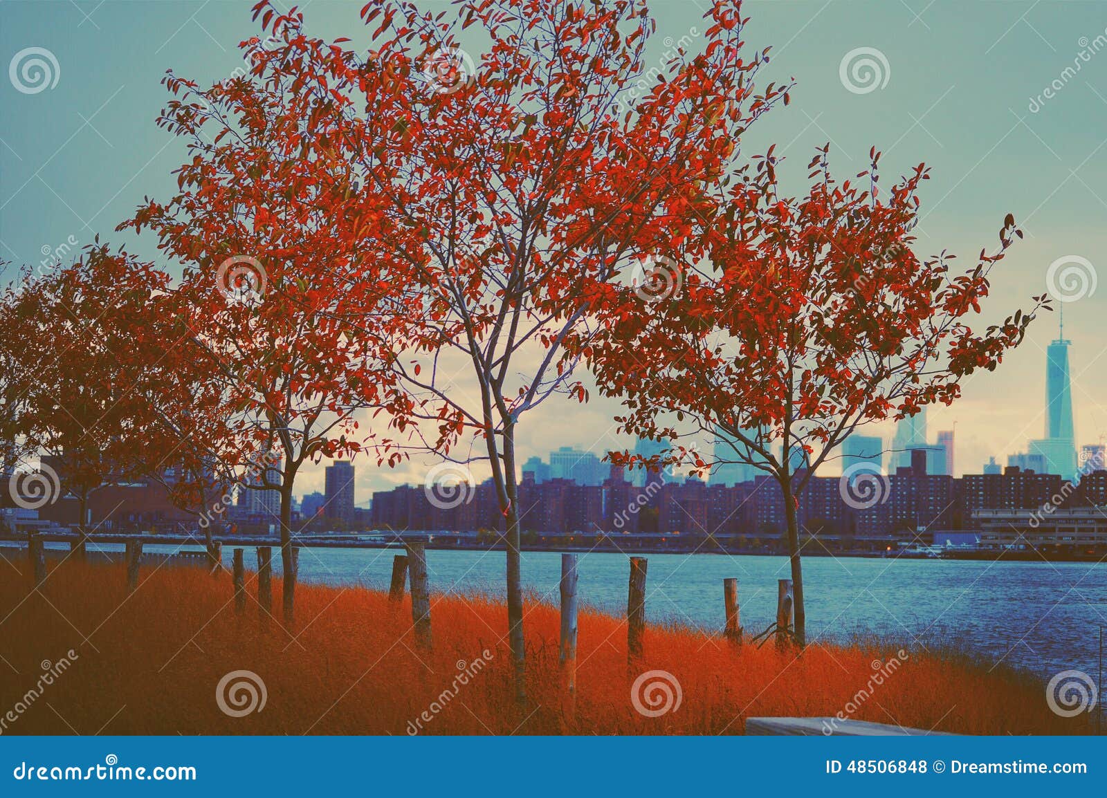 Saturated nature stock photo. Image of trees, blue, young - 48506848