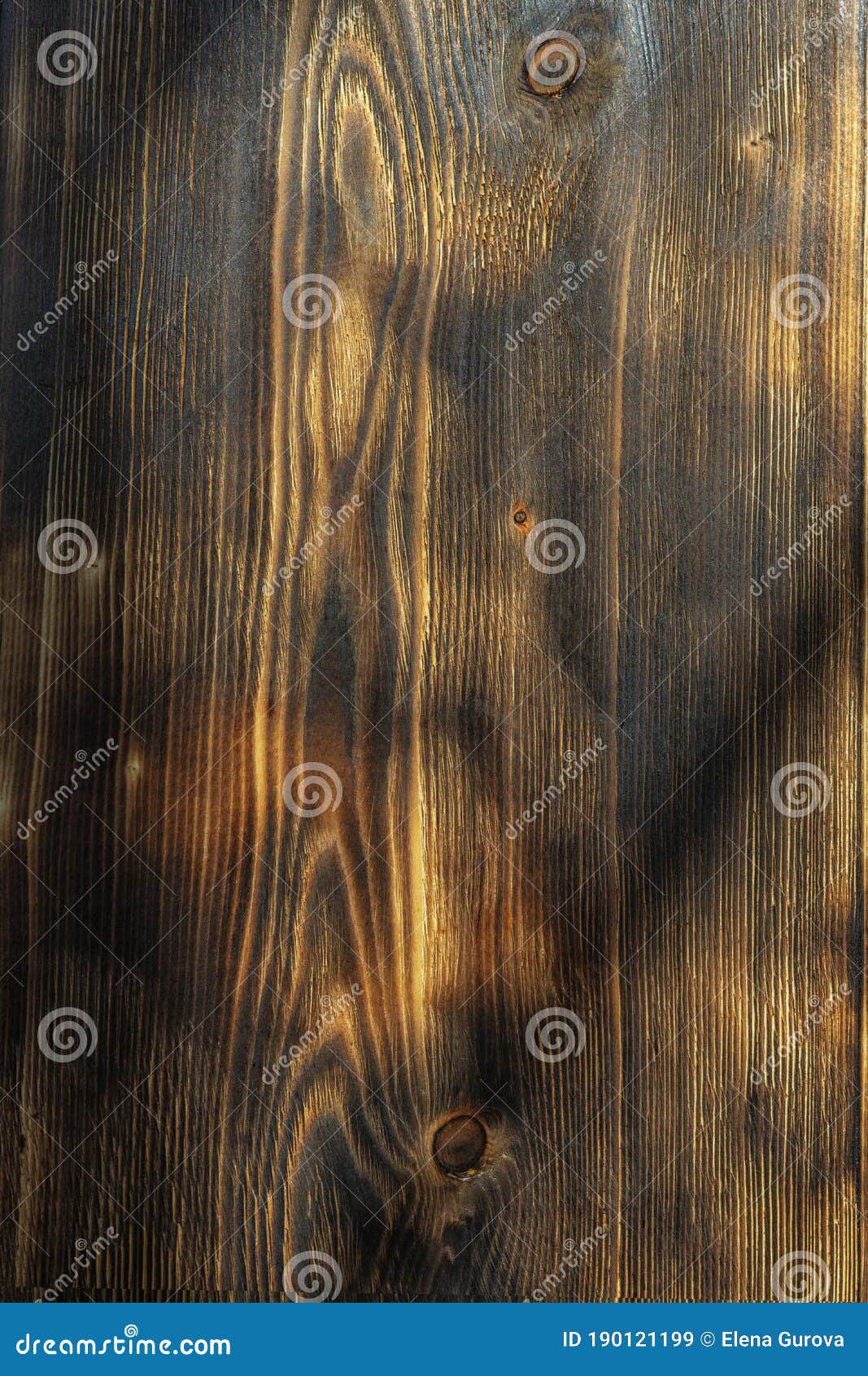 Saturated Tree Brown. Wood Texture Stock Image - Image of material ...