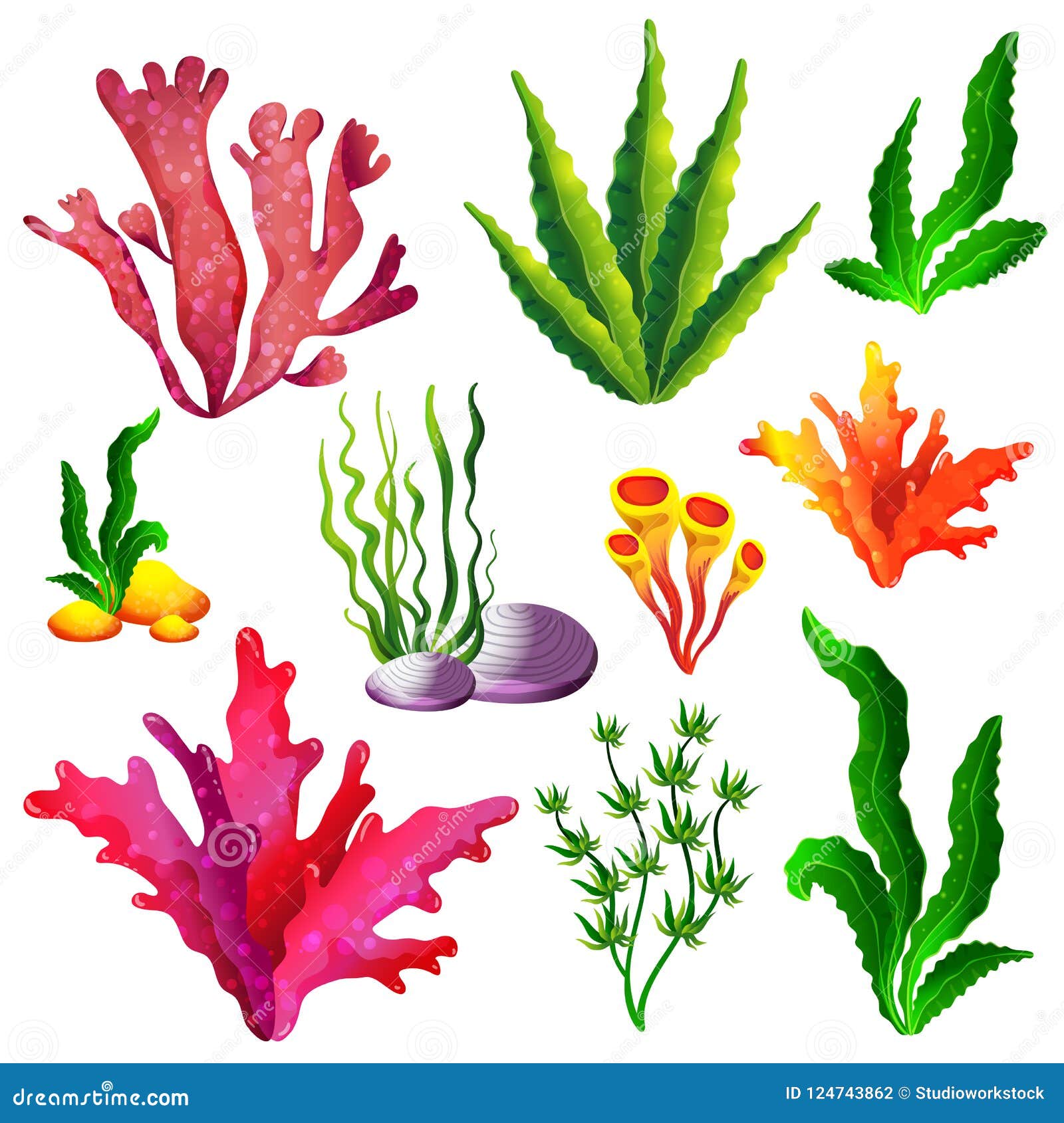 Satz bunte Seealgen vektor abbildung. Illustration von getrennt - 124743862