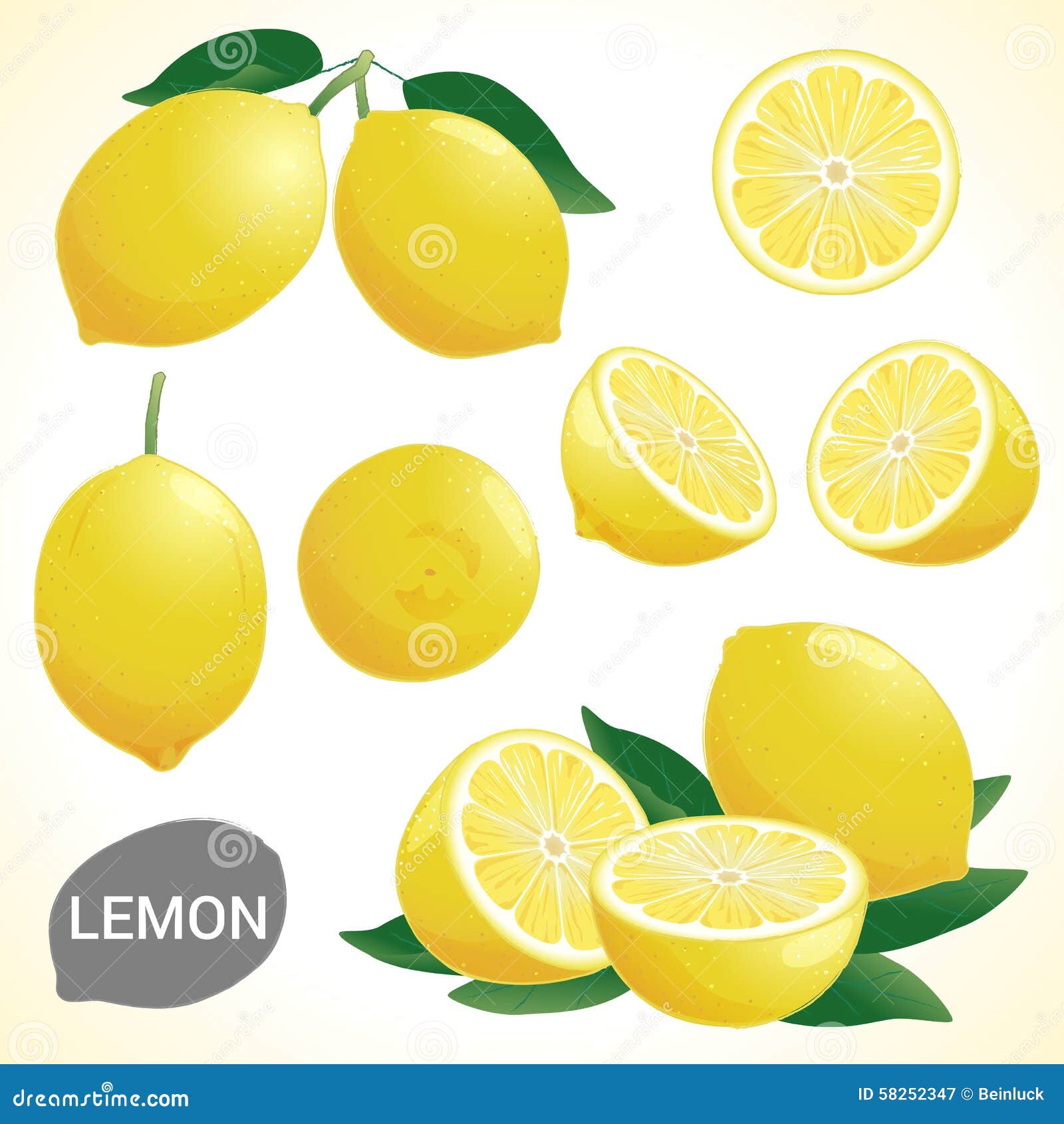 Satz Der Zitrone in Den Verschiedenen Arten Vector Format Vektor ...