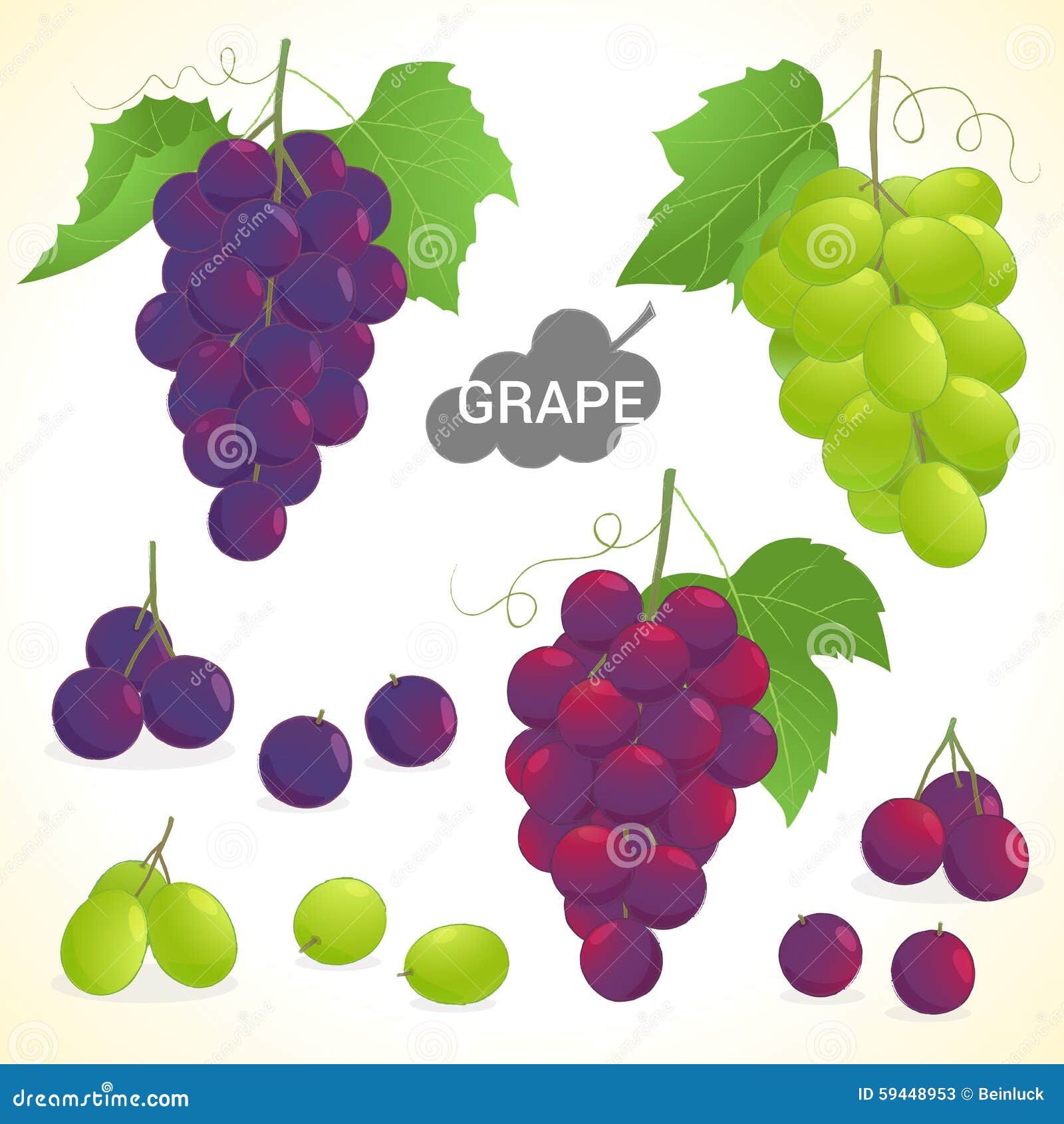 Satz Trauben in Den Verschiedenen Arten Vector Format Vektor Abbildung ...