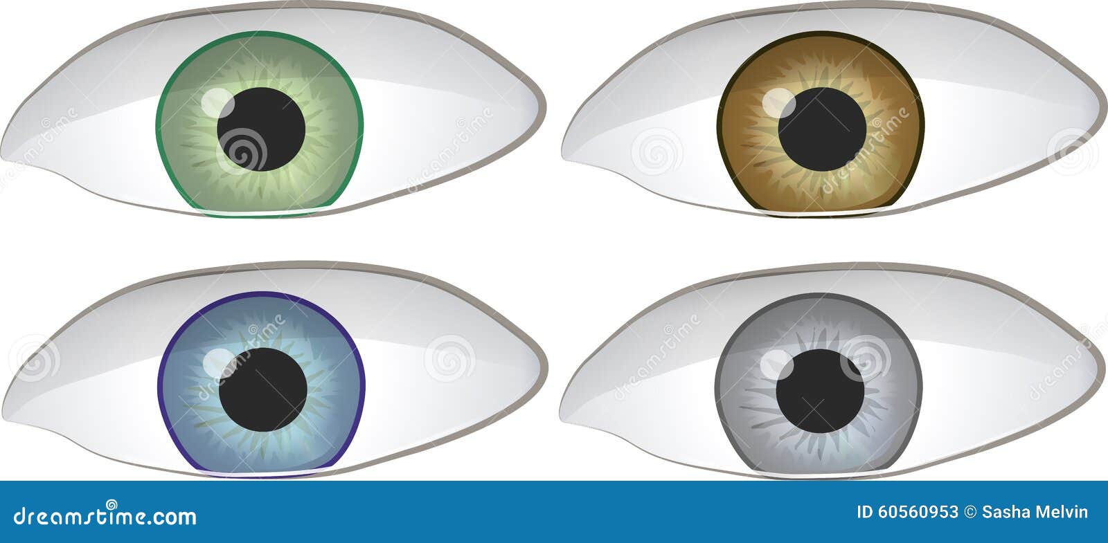 Satz von vier Augen stock abbildung. Illustration von augen - 60560953