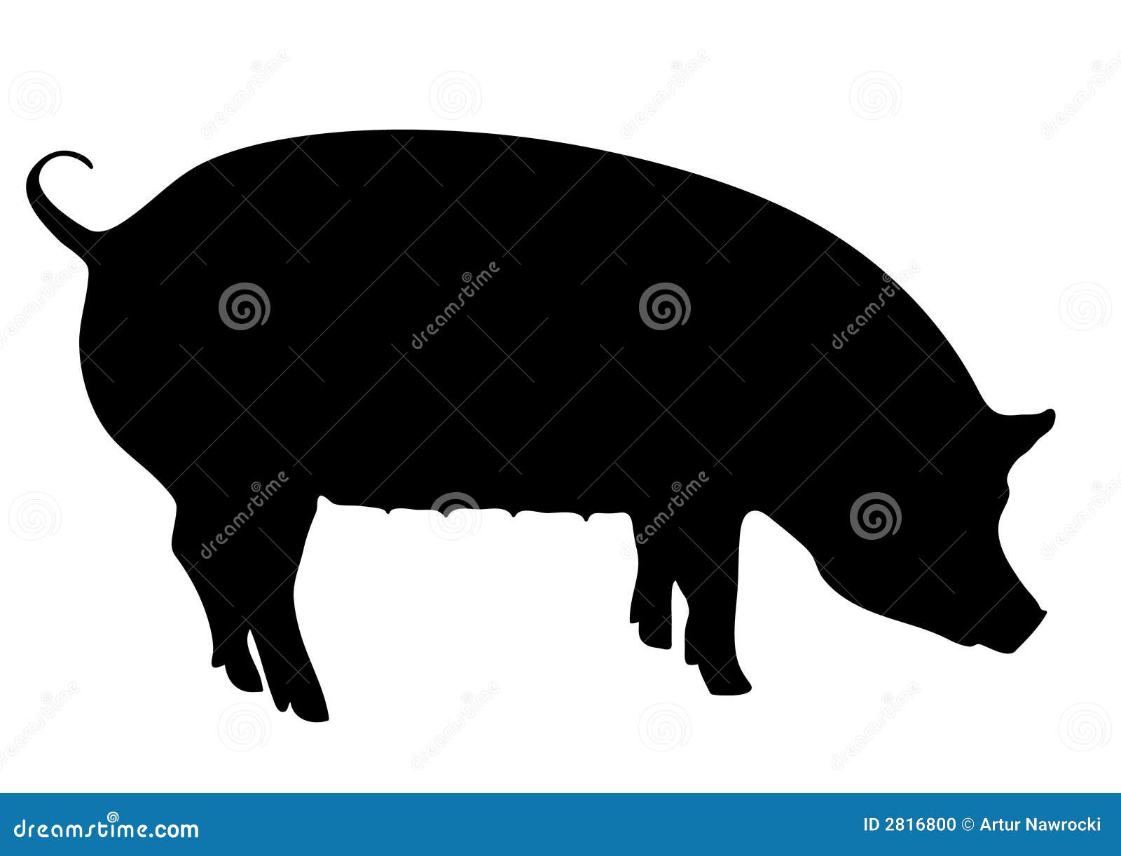 Sau vektor abbildung. Illustration von schweinefleisch - 2816800