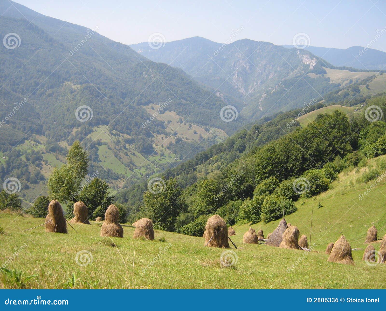 Saua Chica Lupului, Voineasa Stock Photo - Image of vedere, saua: 2806336