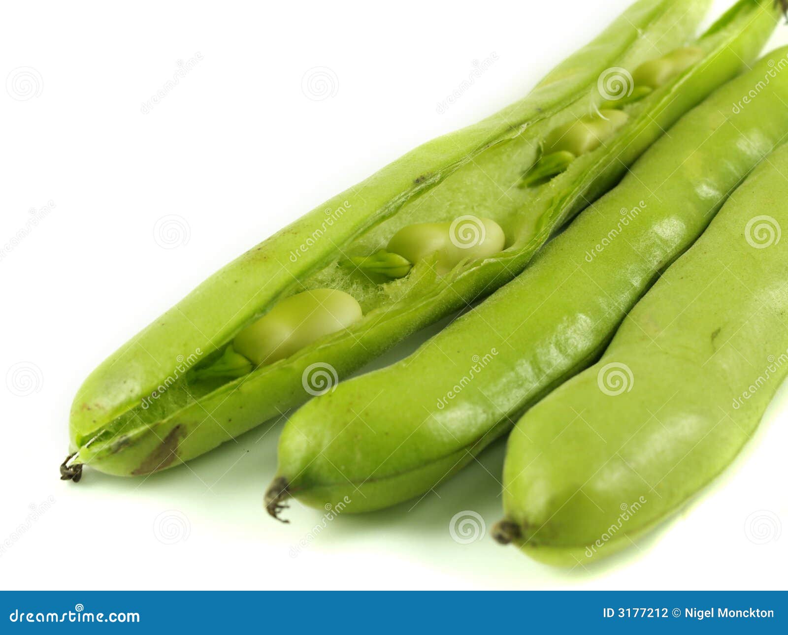 Saubohnen stockfoto. Bild von ausgedehnt, nahrung, diät - 3177212