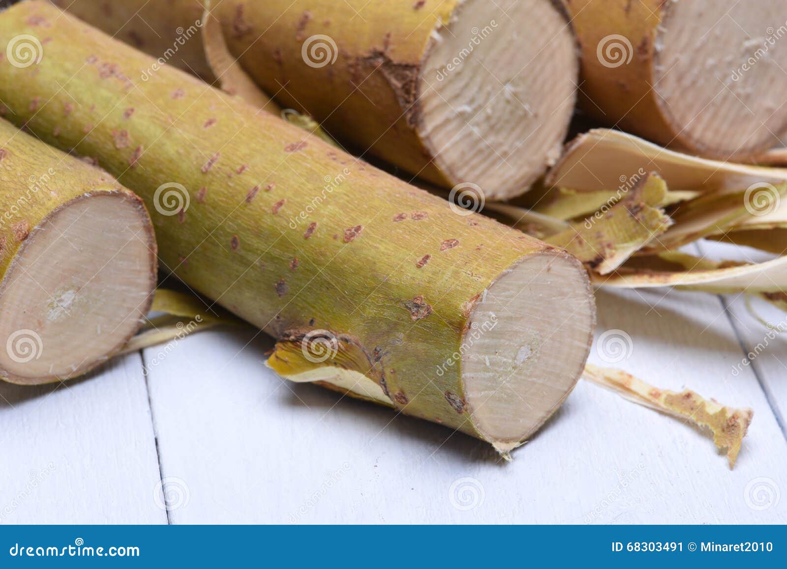Sauce De Madera Del Registro Con La Corteza Imagen de archivo - Imagen ...