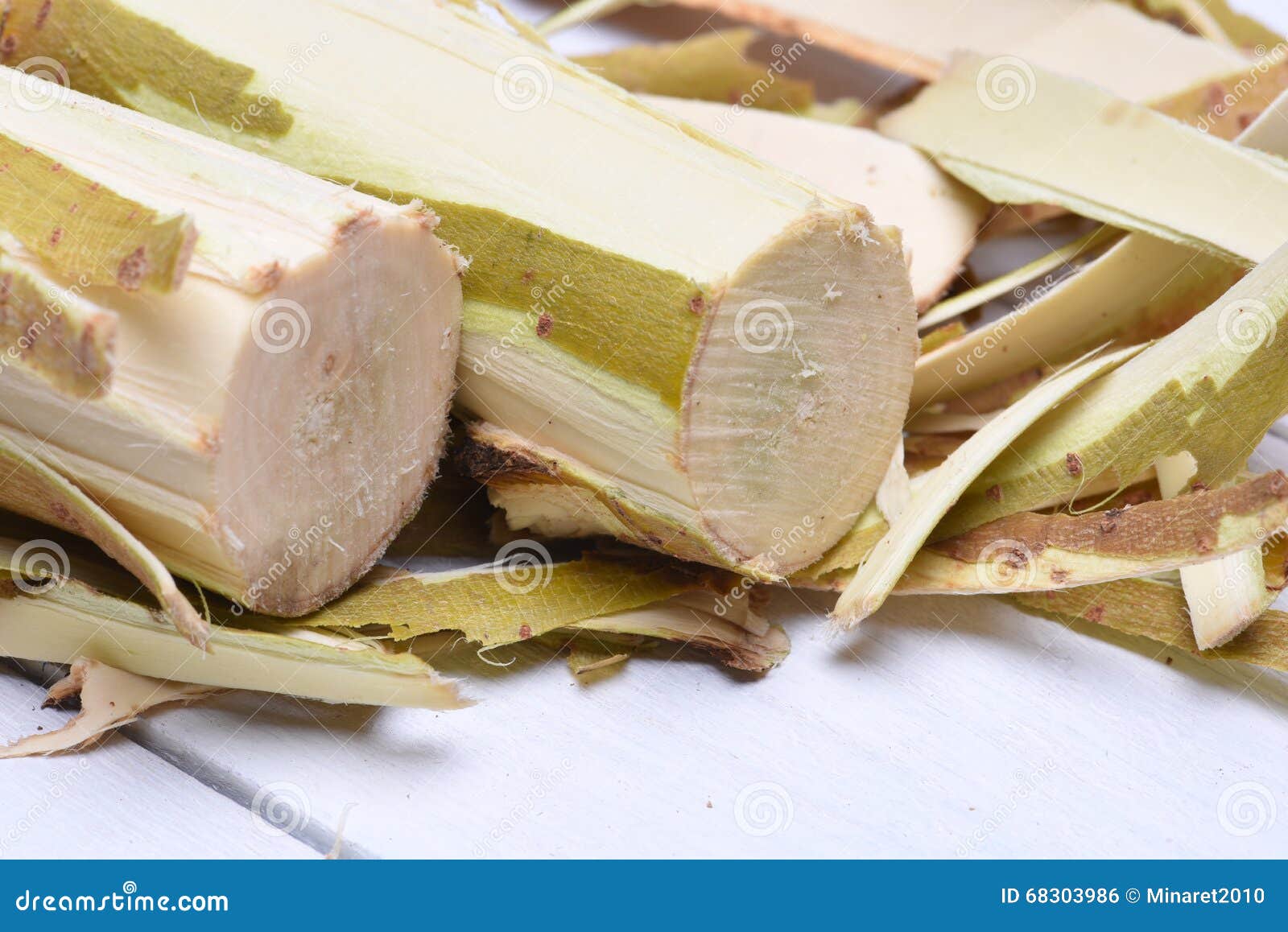 Sauce De Madera Del Registro Con La Corteza Foto de archivo - Imagen de ...