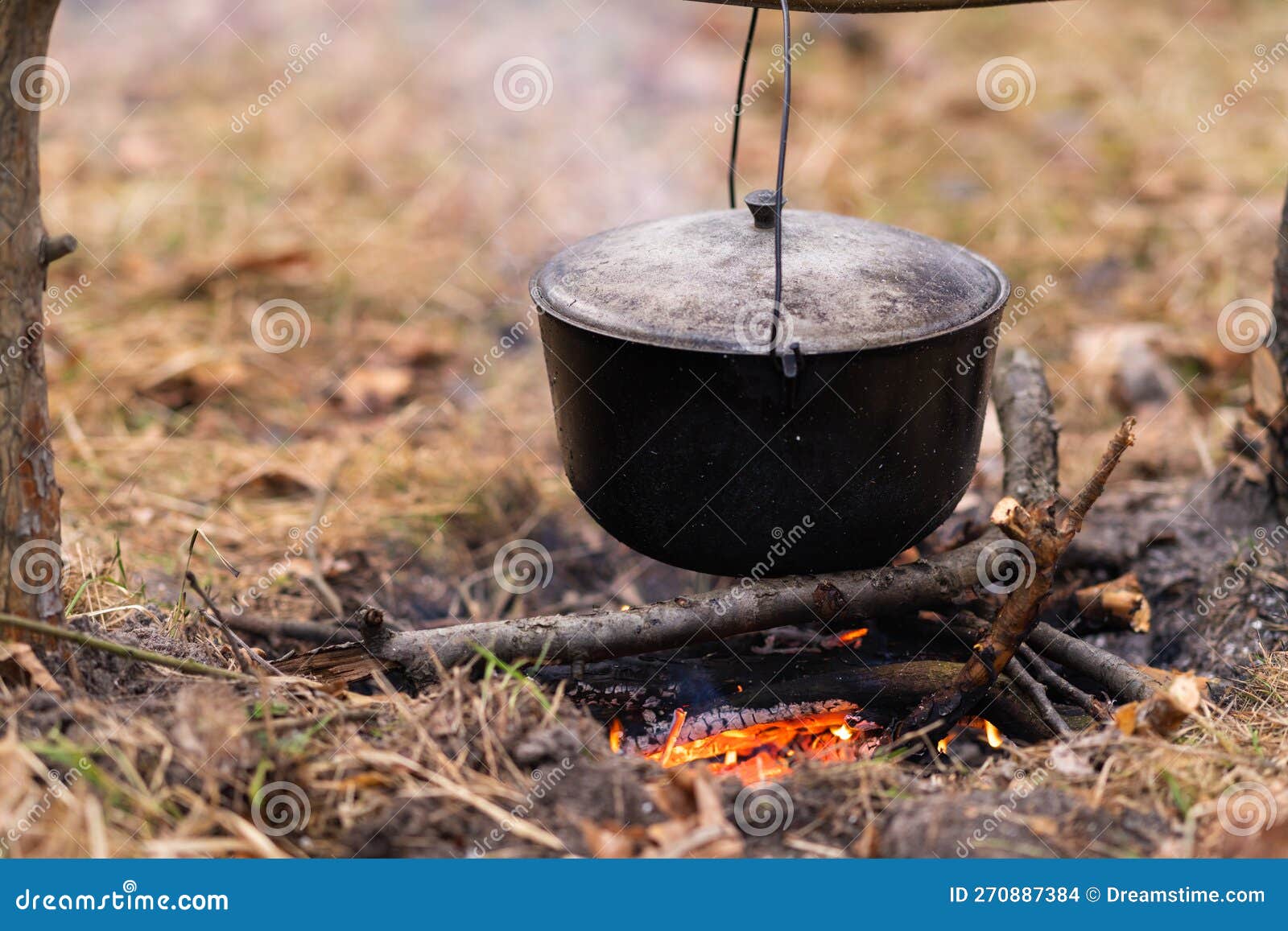 Saucepan with Cooking Soup on a Fire Made of Branches Stock Photo ...