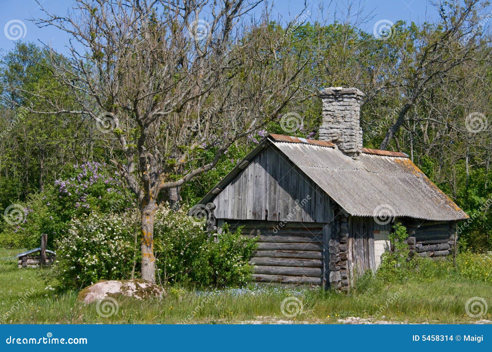 Sauna Building in Countryside Stock Photo - Image of building, shack ...