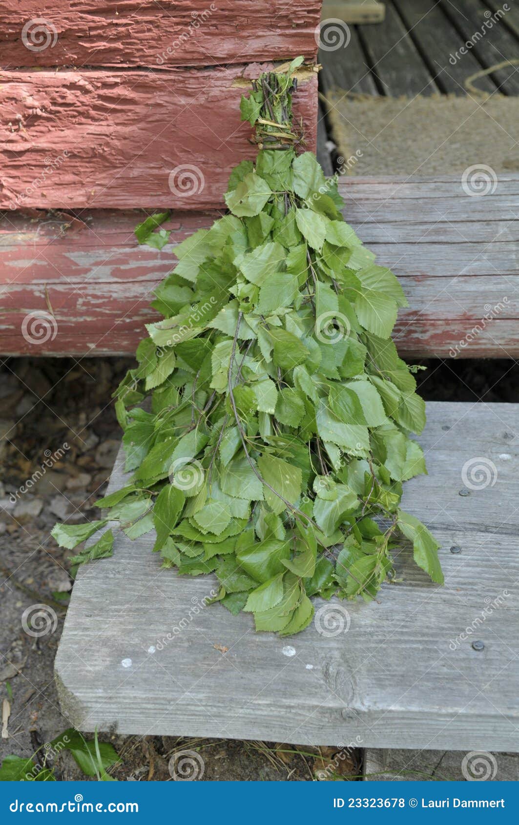 Sauna Whisk Vihta stock photo. Image of tradition, sauna - 23323678