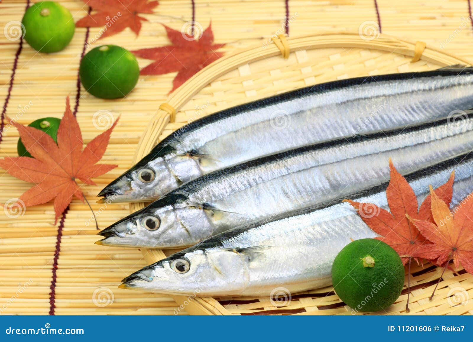 Saurio foto de archivo. Imagen de gusto, marina, agua - 11201606