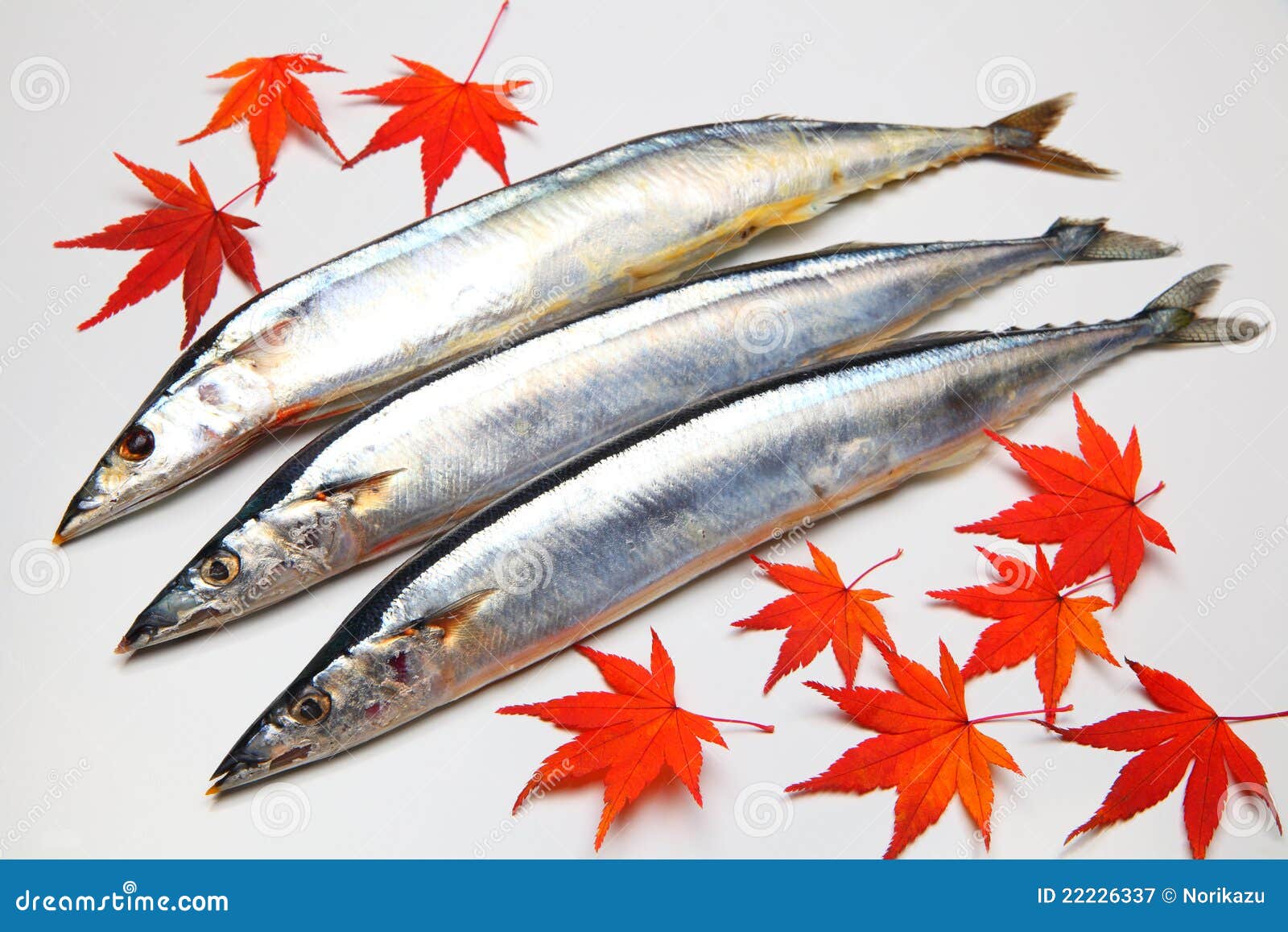 Saurio imagen de archivo. Imagen de mariscos, asia, alimento - 22226337