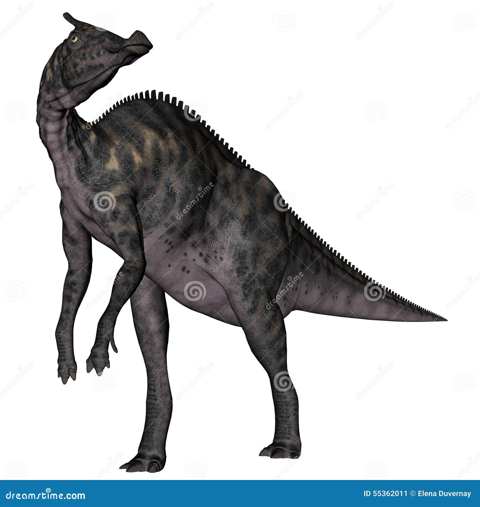 Saurolophus Dinosaur - 3D Render Stock Illustration - Illustration of ...