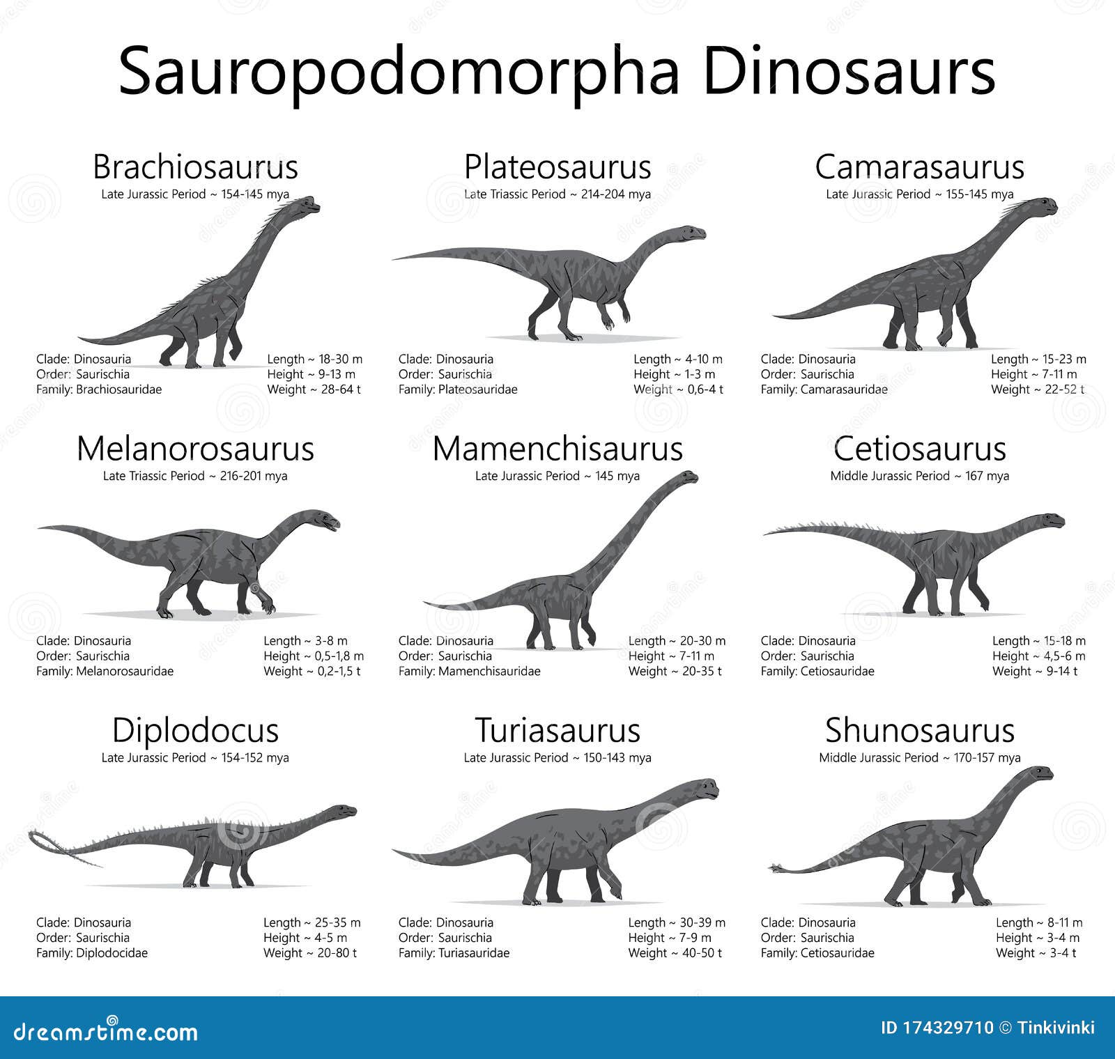 Sauropodomorpha Dinosaurs. Monochrome Vector Illustration of Dinosaurs ...