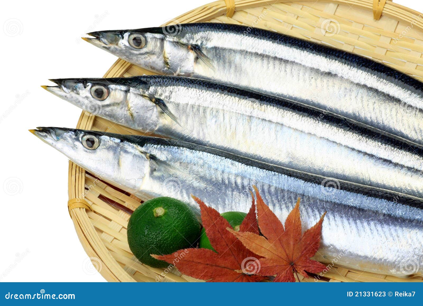 Saury stock image. Image of taste, living, fish, white - 21331623