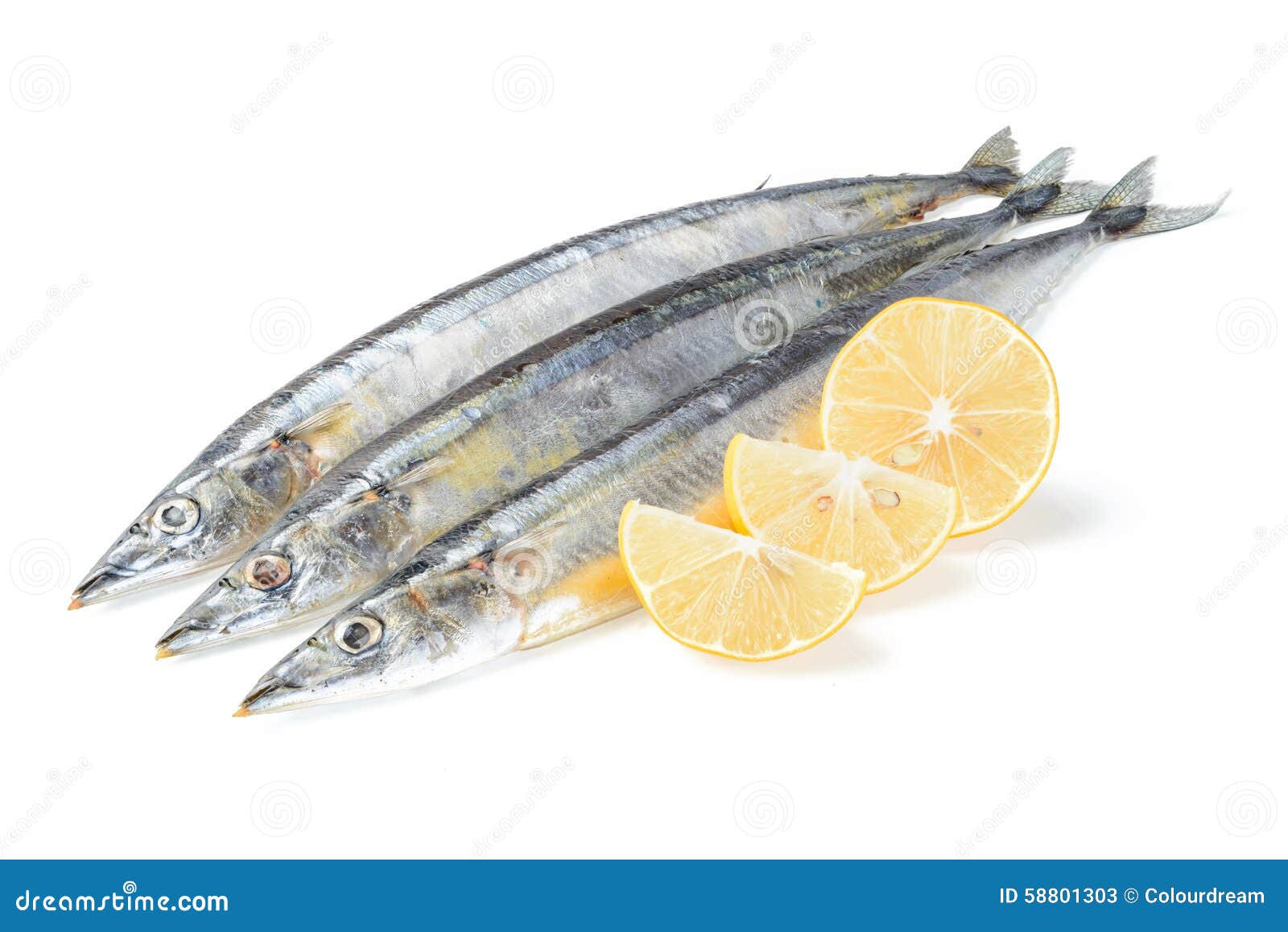 Saury fish stock image. Image of blue, pike, japanese - 58801303