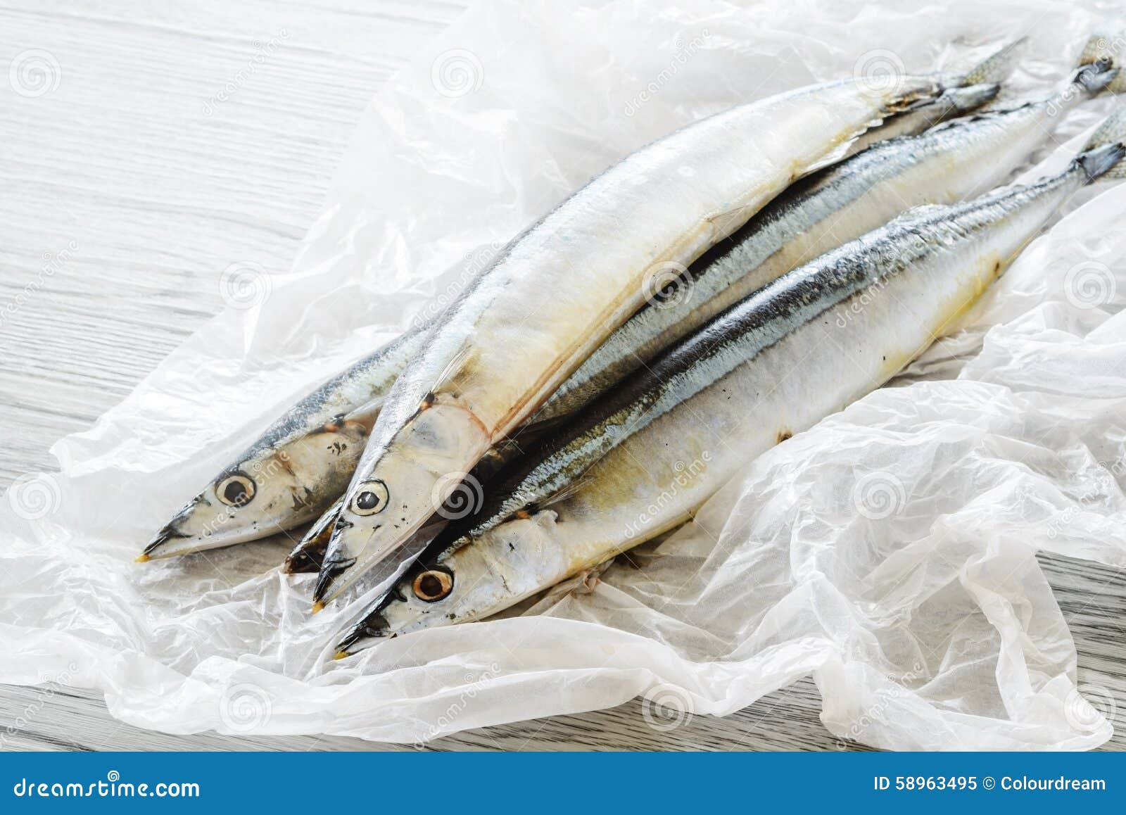 Saury fish stock image. Image of marine, fall, autumn - 58963495