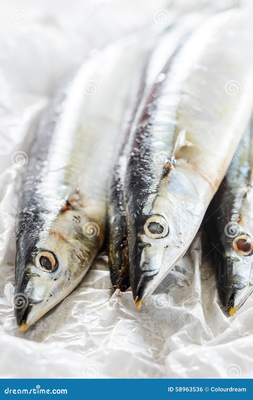 Saury fish stock photo. Image of white, fish, paper, food - 58963536