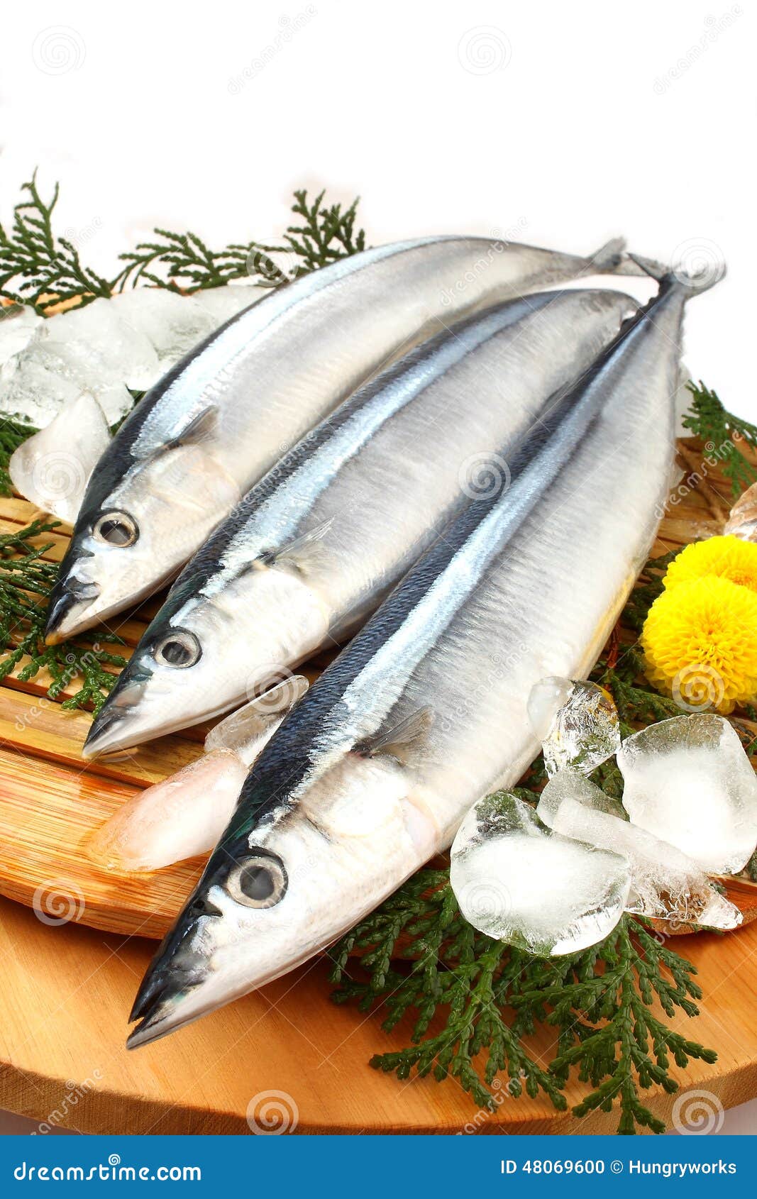 Saury Royalty-Free Stock Photo | CartoonDealer.com #22226337