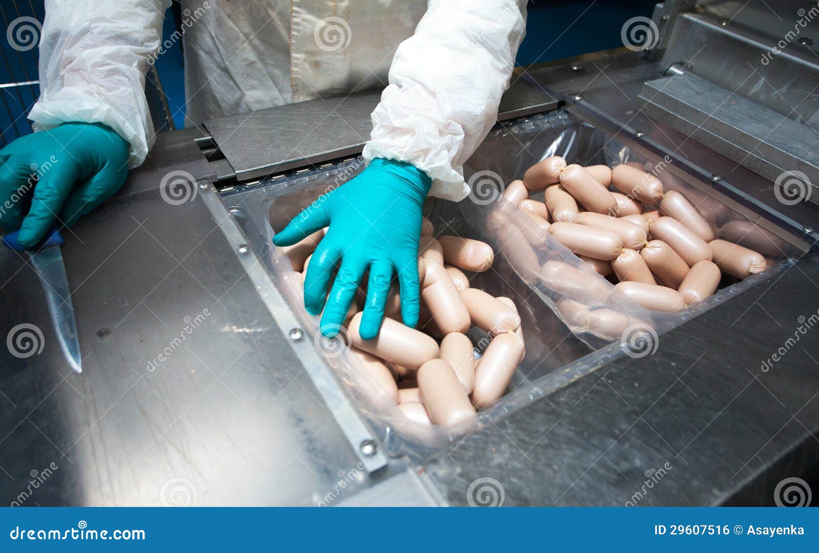 Sausage in factory stock photo. Image of veal, factory - 29607516