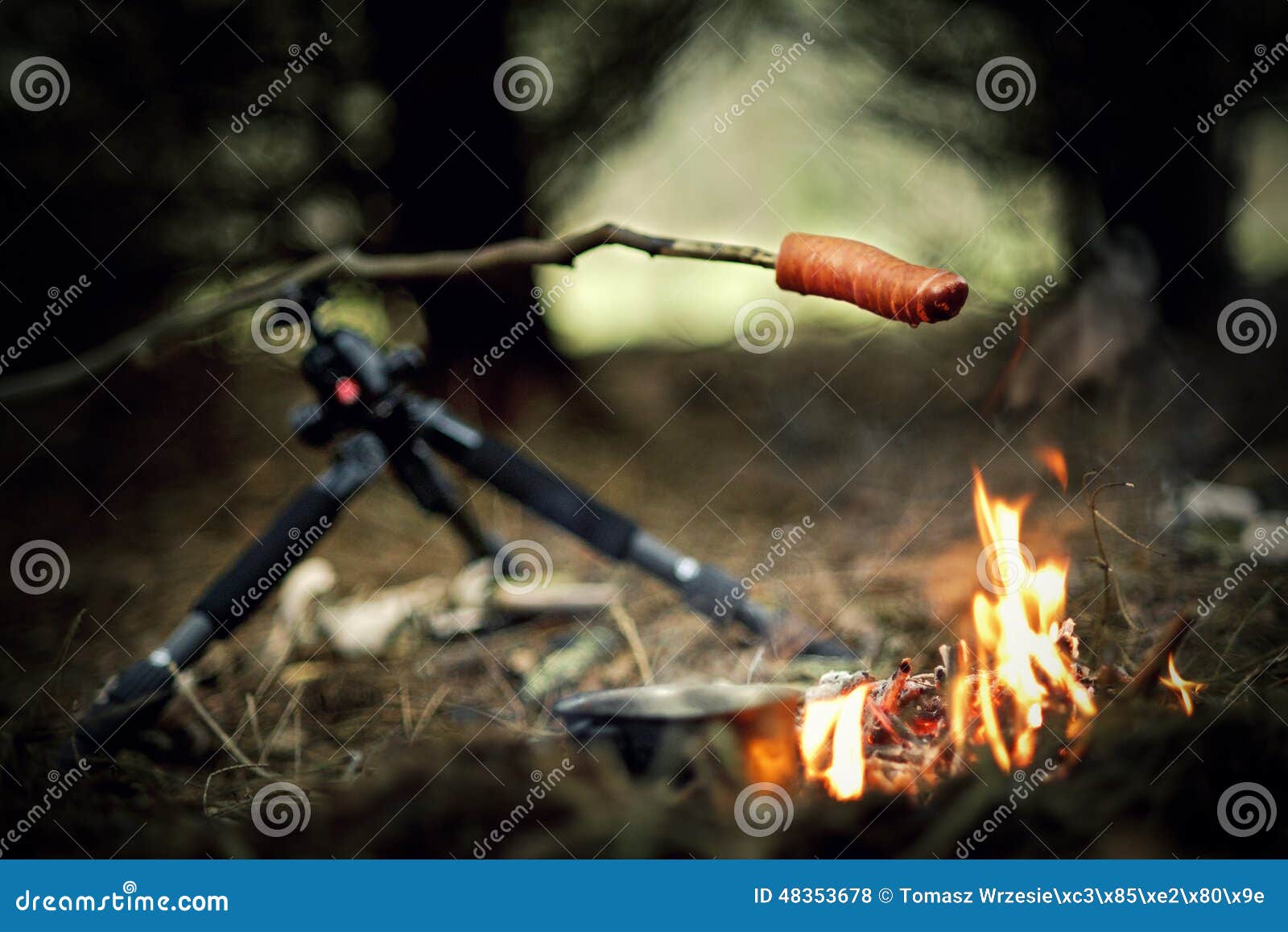Sausage on the fire stock photo. Image of sausage, camp - 48353678